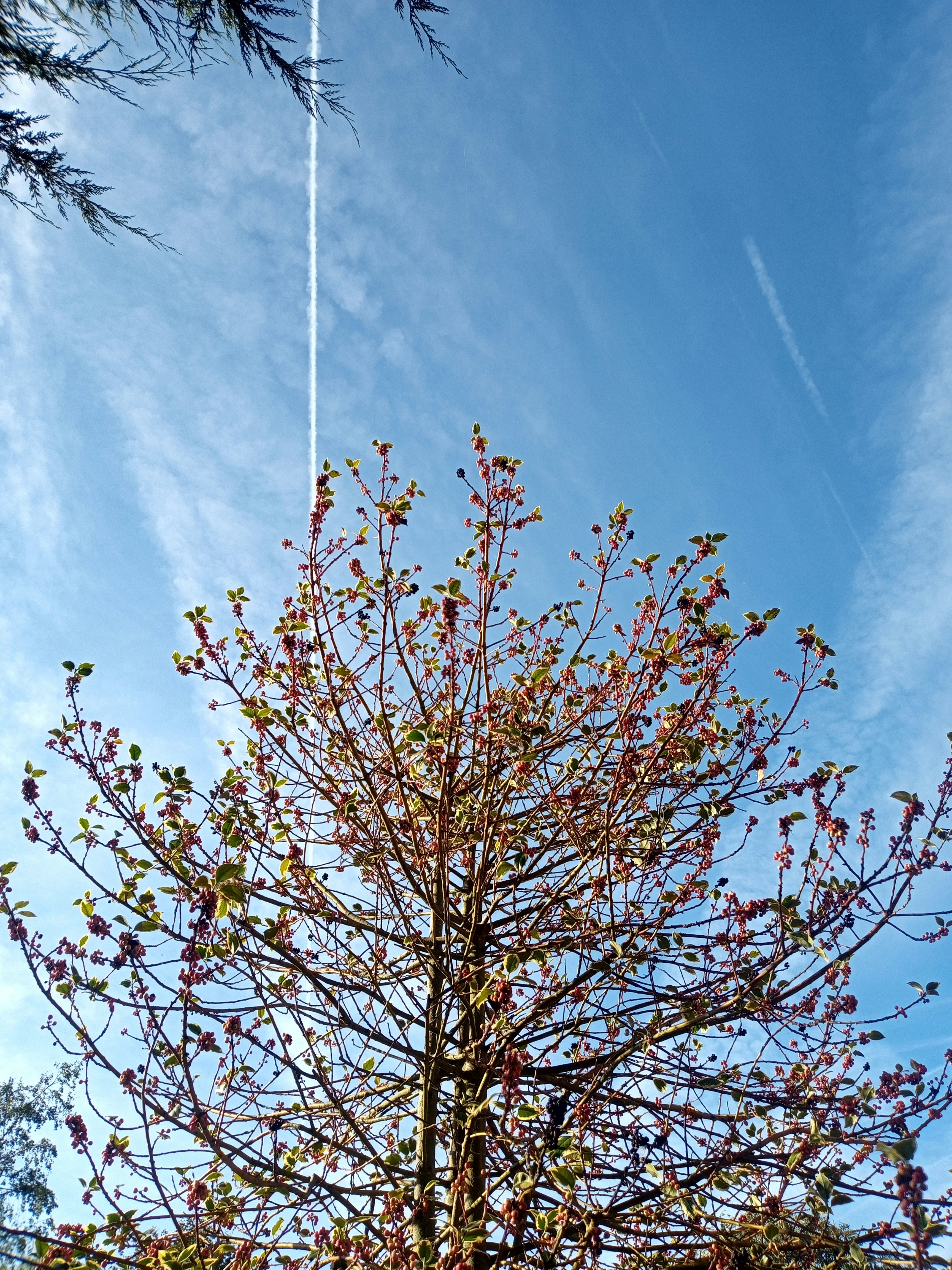 Photo by Sam Brodzinski