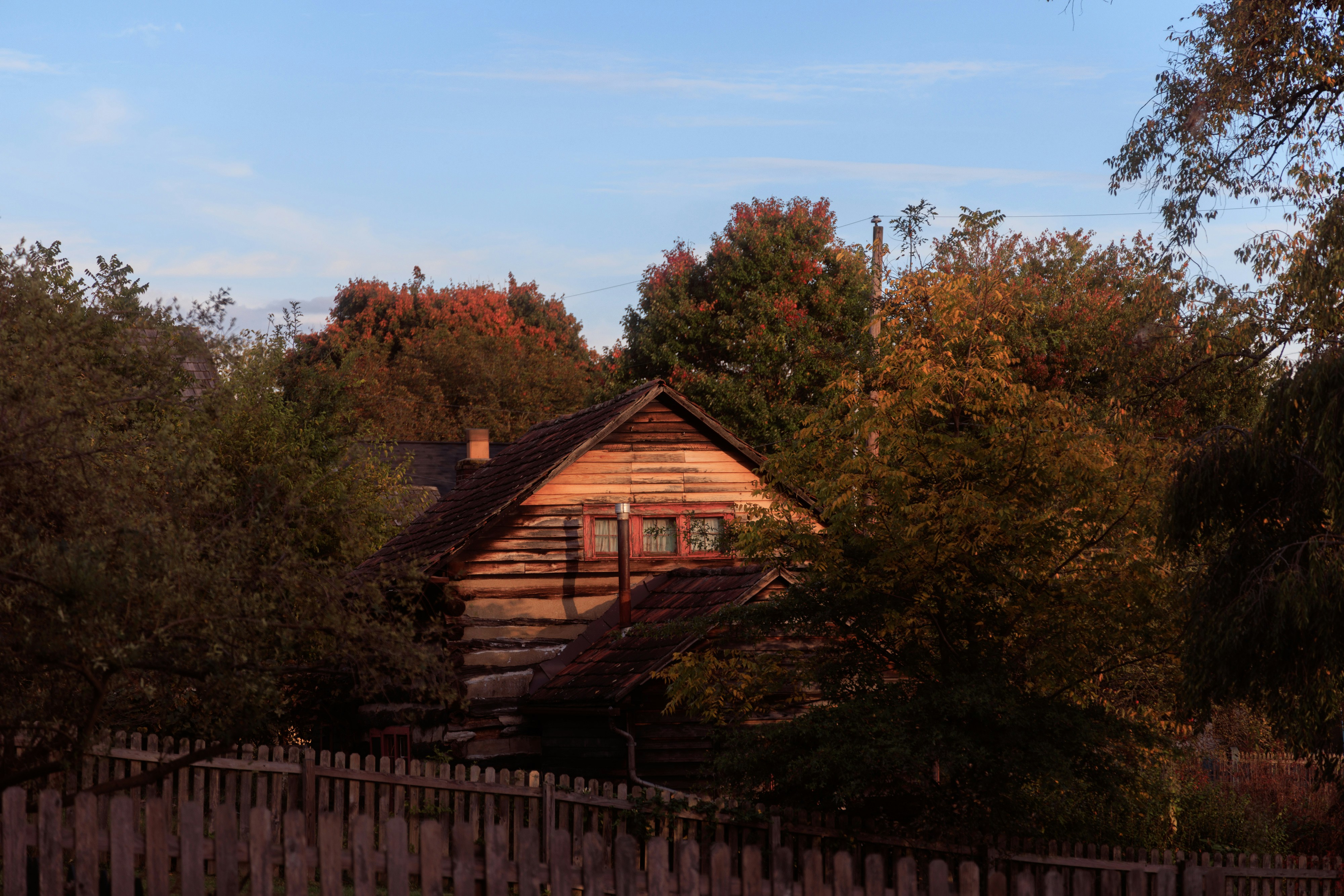 Log cabin nestled among vibrant autumn foliage, showcasing warm wood tones and the beauty of nature's transition.