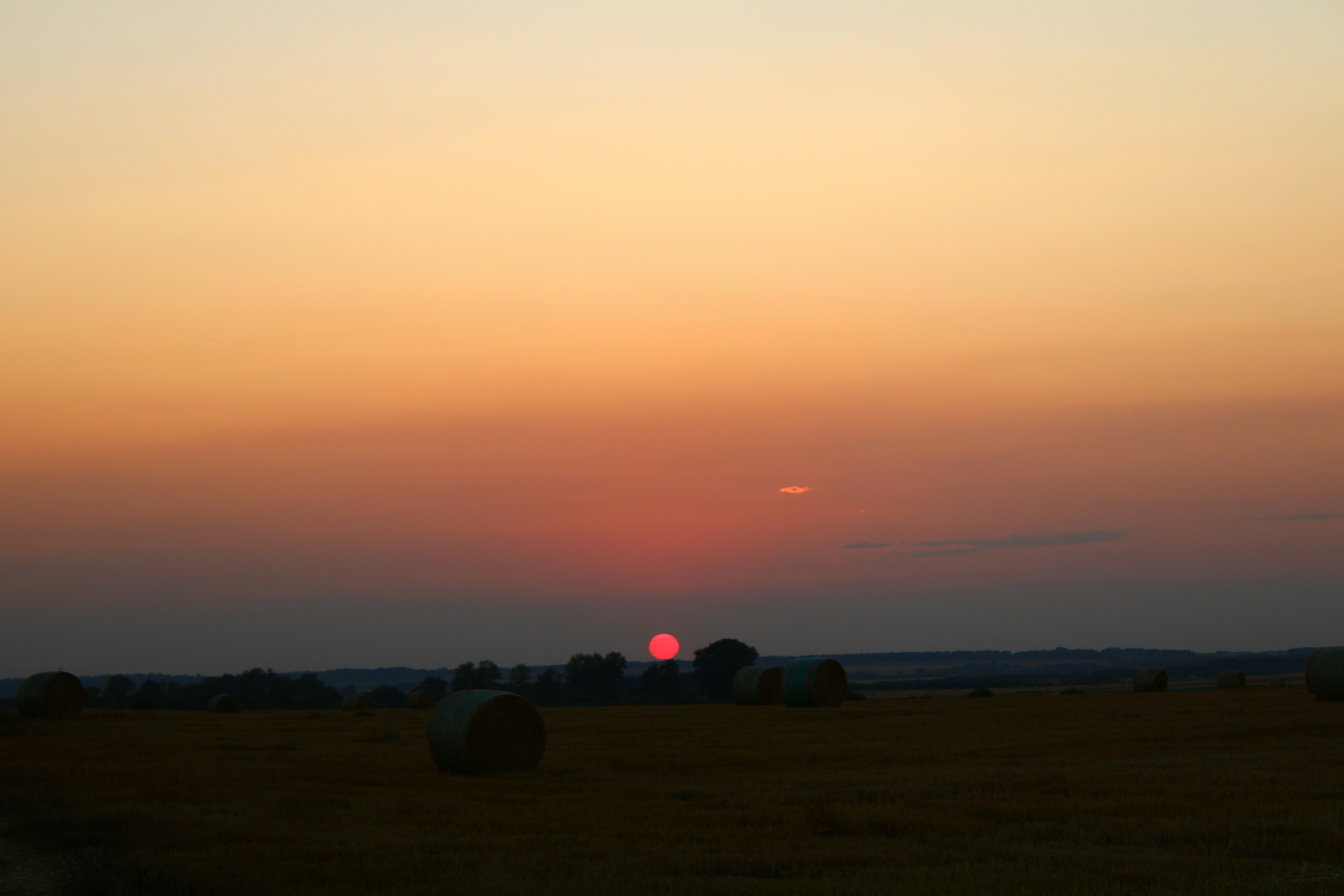 Sunlit Silence Over the Harvest Field