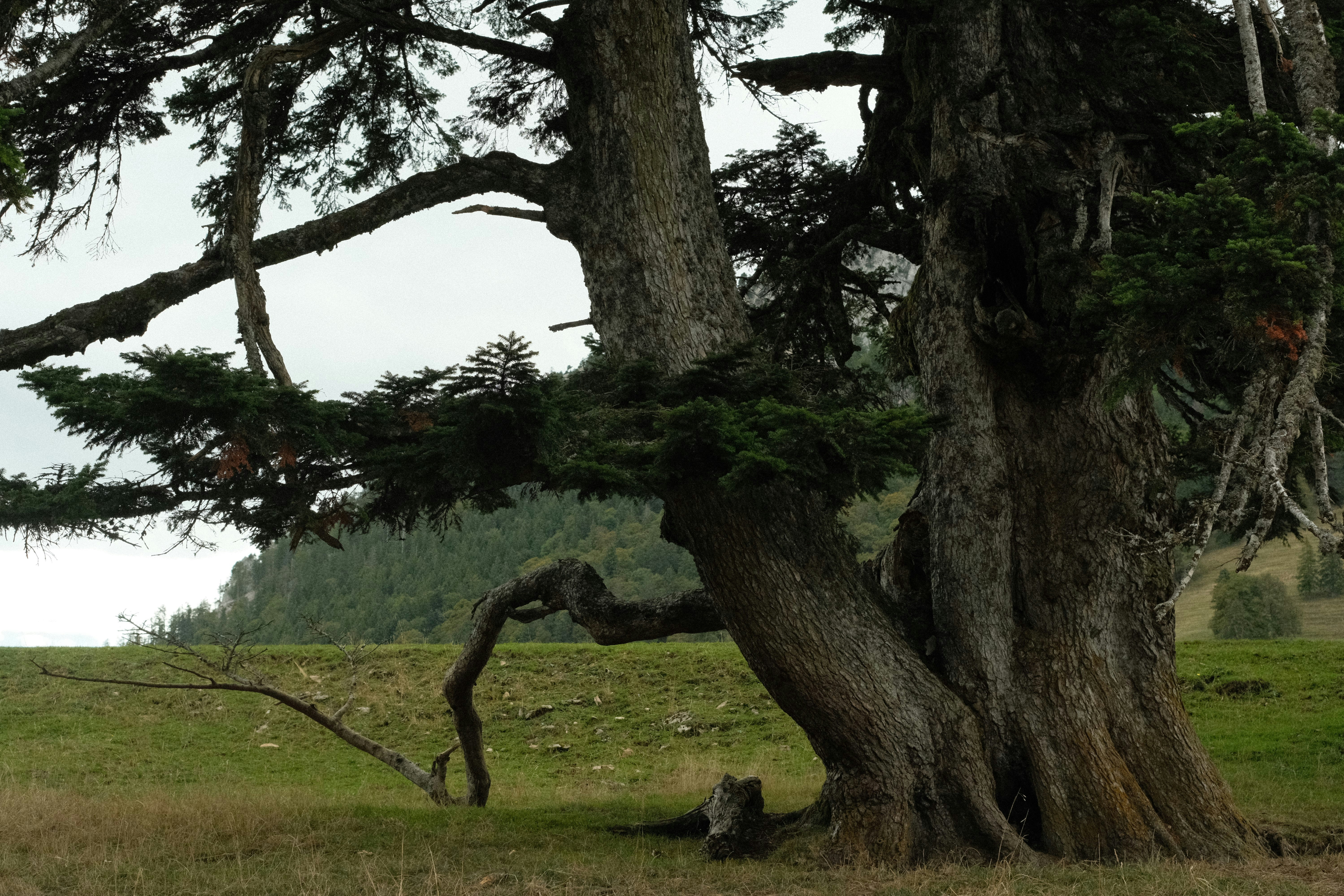 Photo by Corentin Schneiter with Fujifilm X-T3