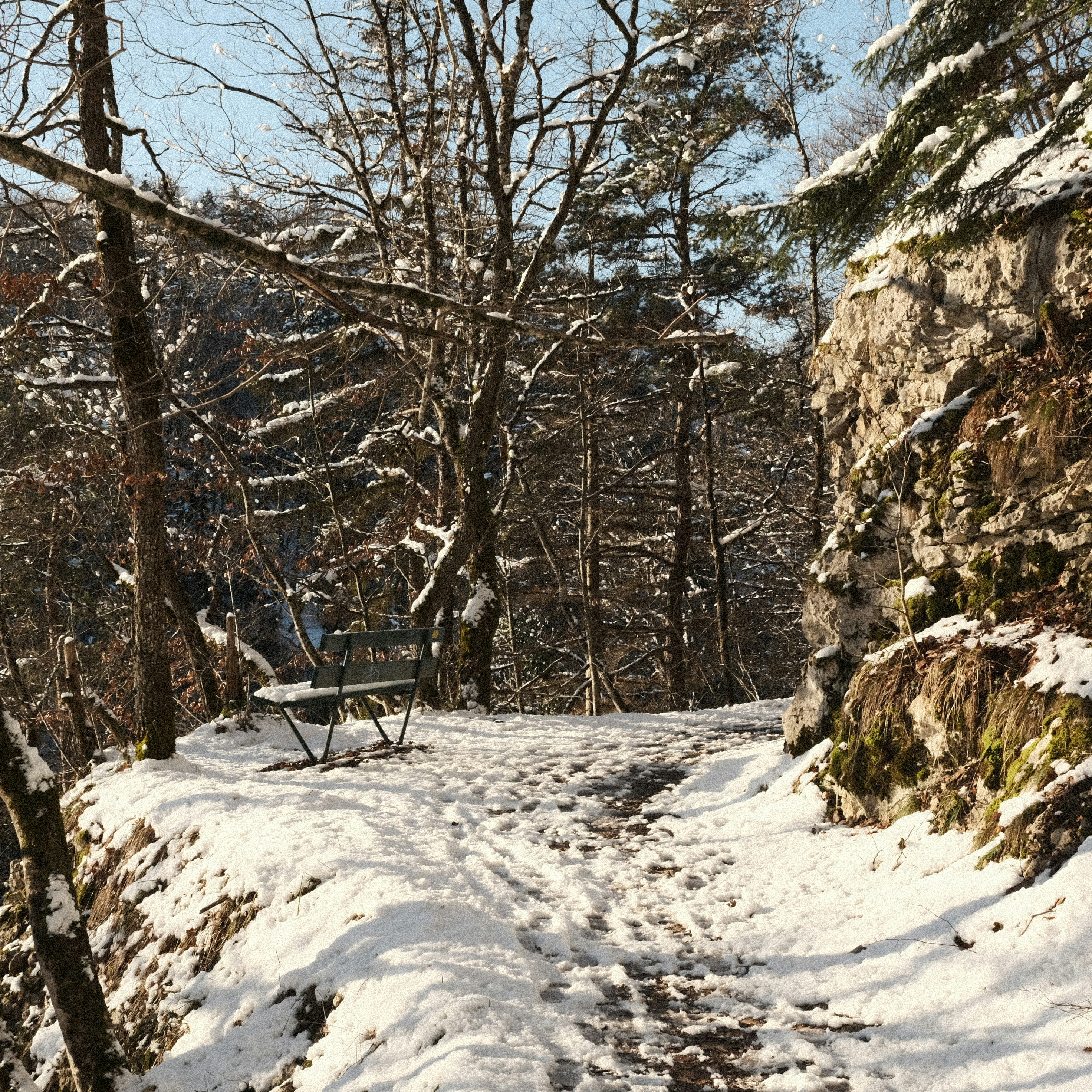 Bench on a Snow-Laced Cliffside Path