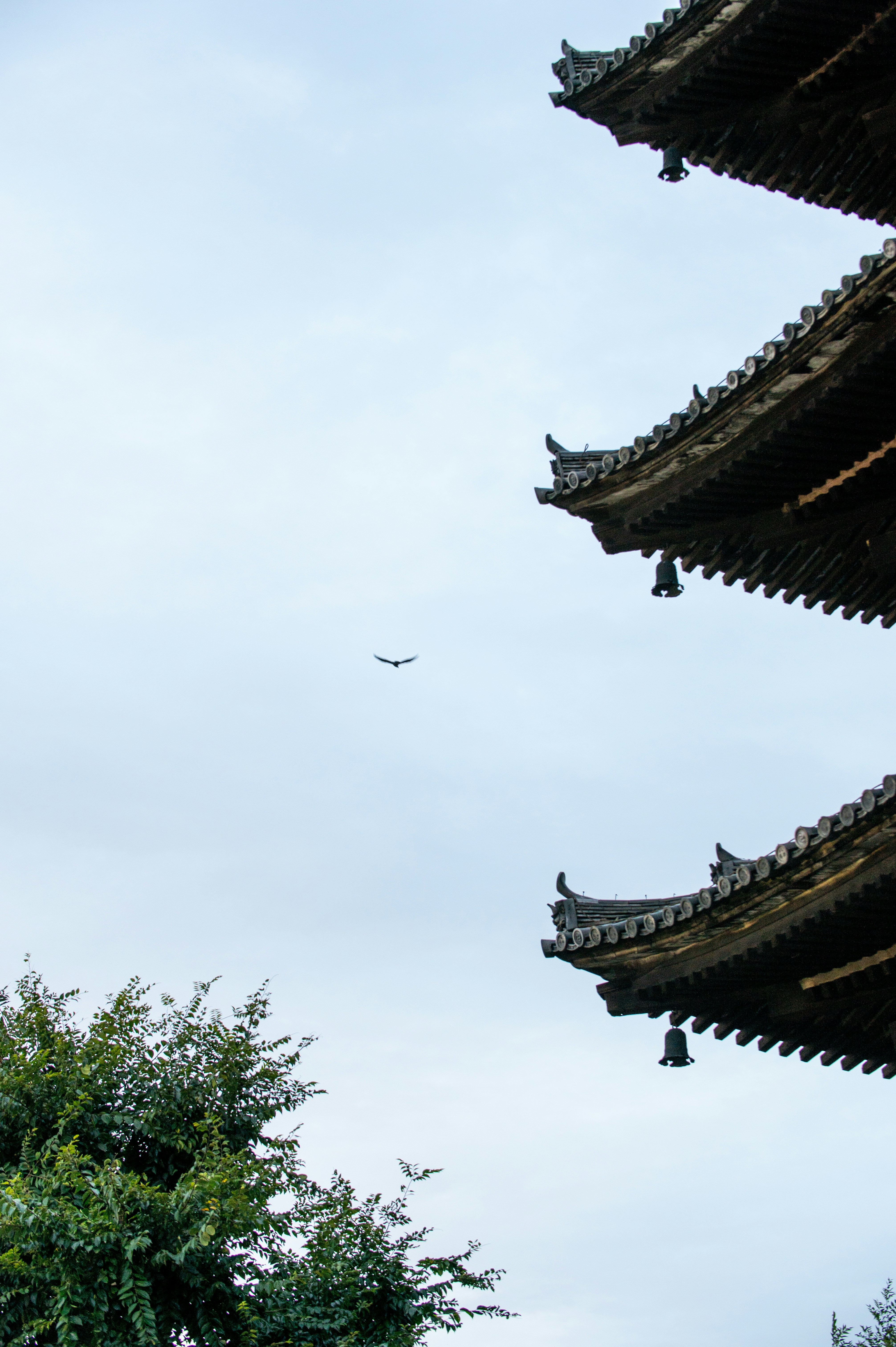 A plane flying in the sky over a building photo – Free Blue Image on ...