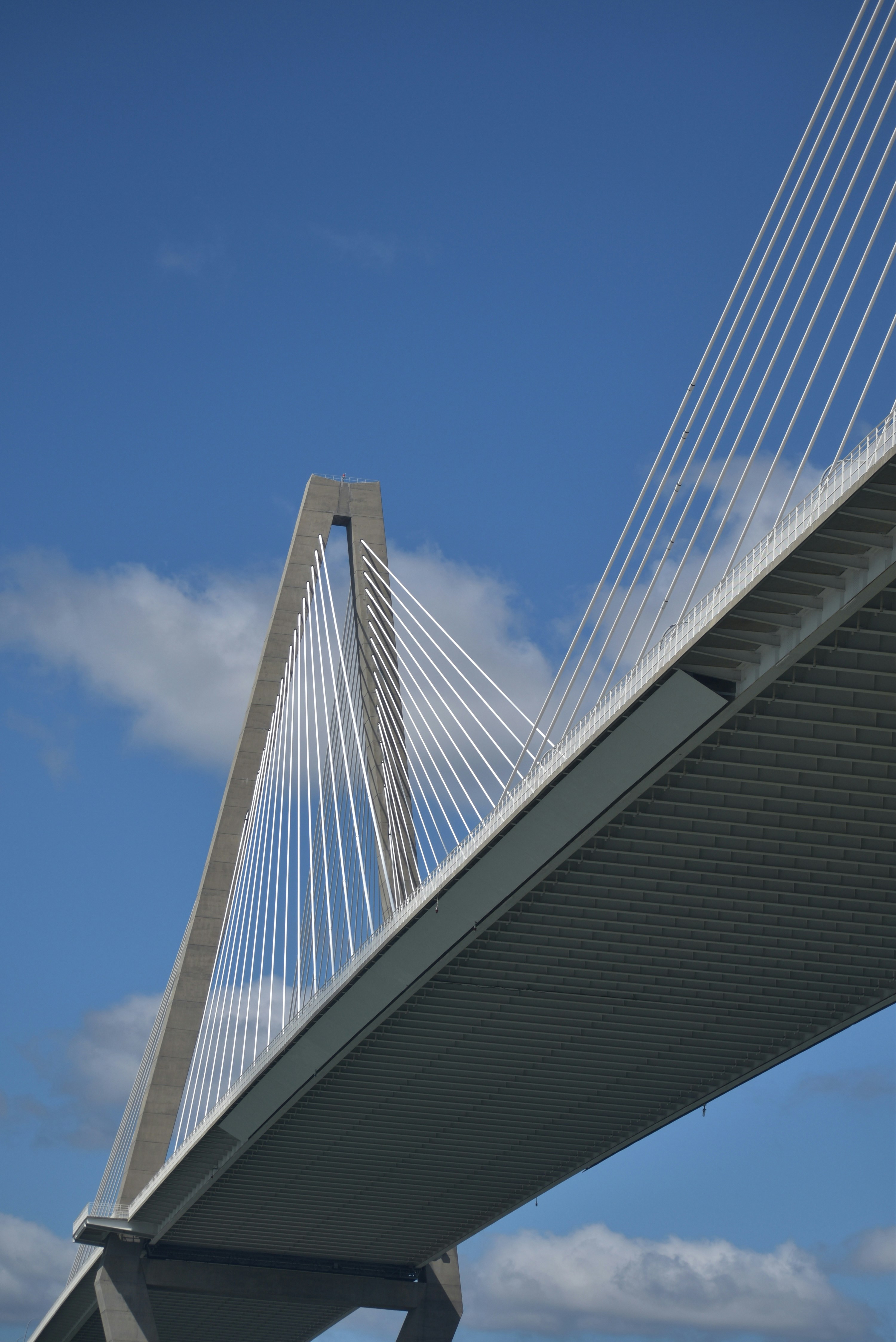 A view of the underside of a bridge photo – Free Arthur ravenel jr ...