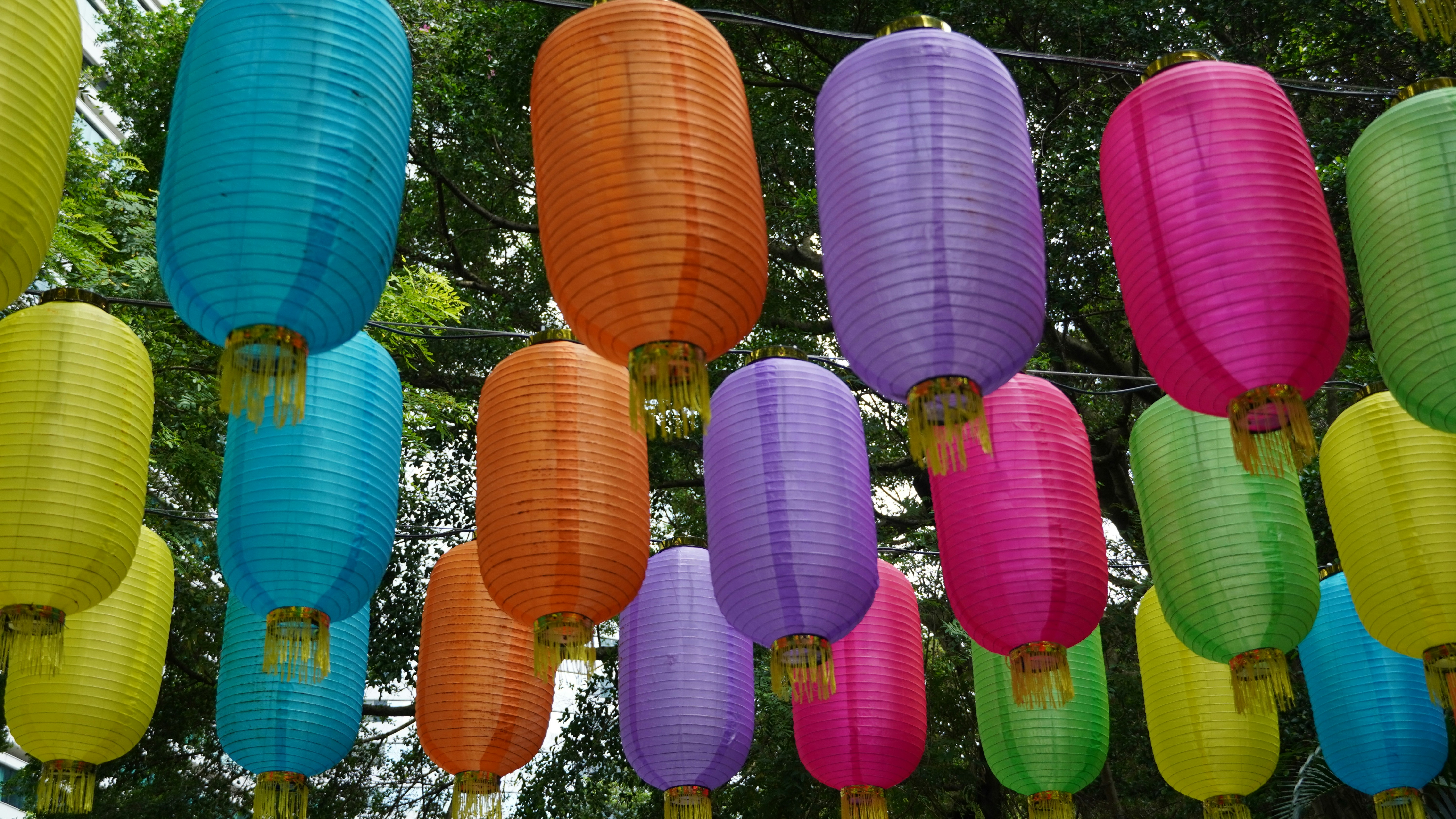 Rainbow Lantern Corridor: A Row of Colorful Orbs Against Green Canopy