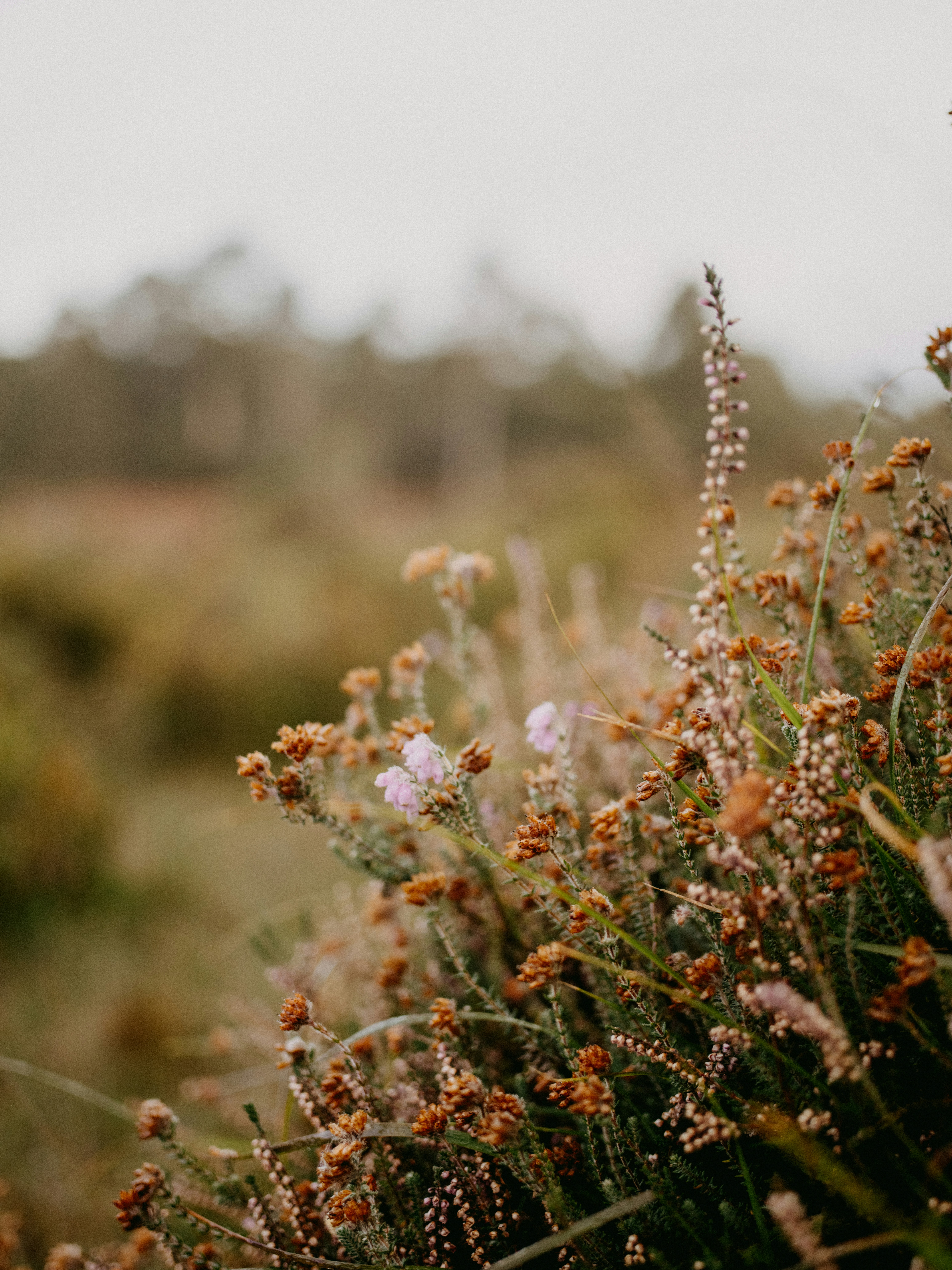 Annie Spratt Pictures | Download Free Images on Unsplash