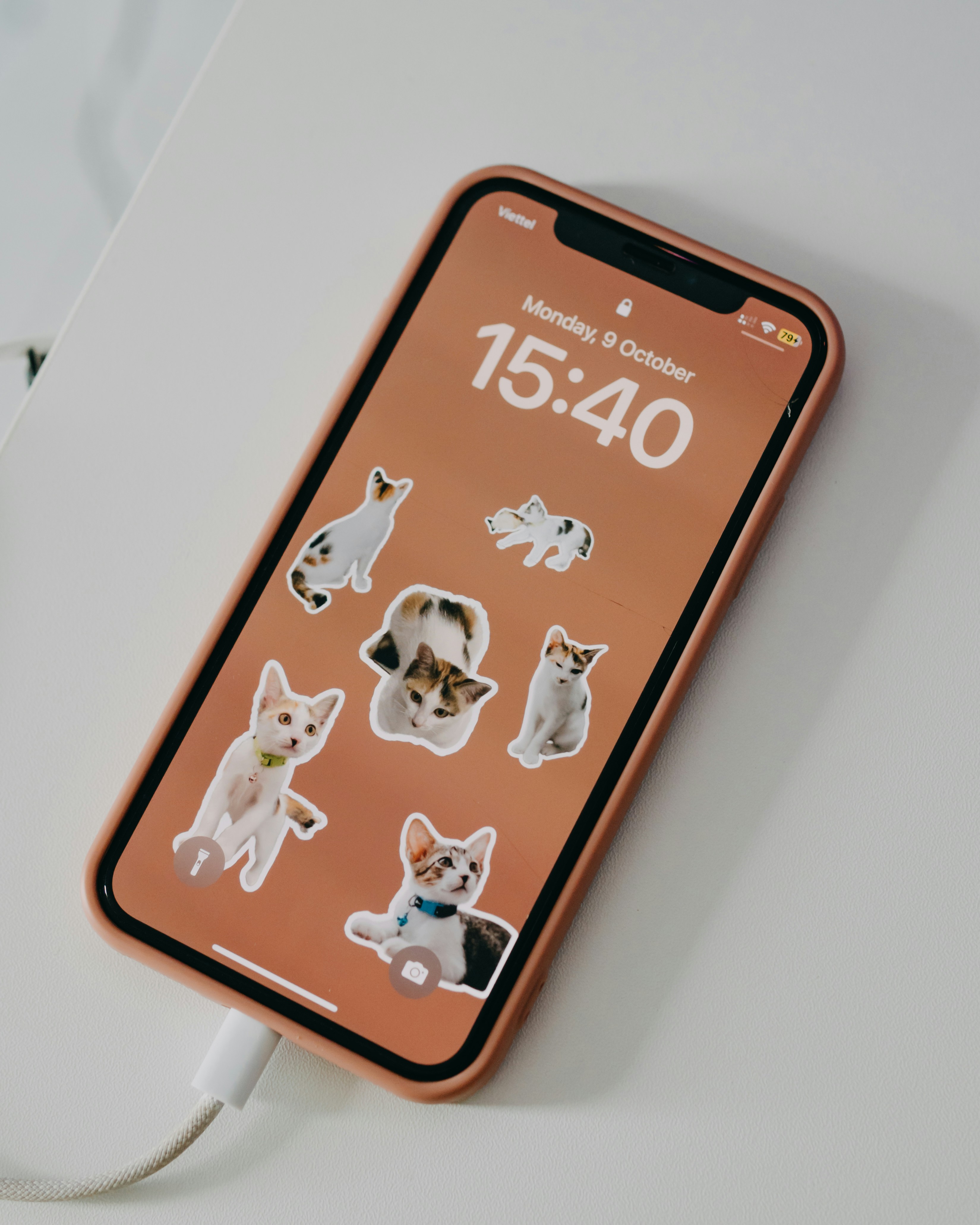 Cat Sticker Collage on a Peach iPhone Screen