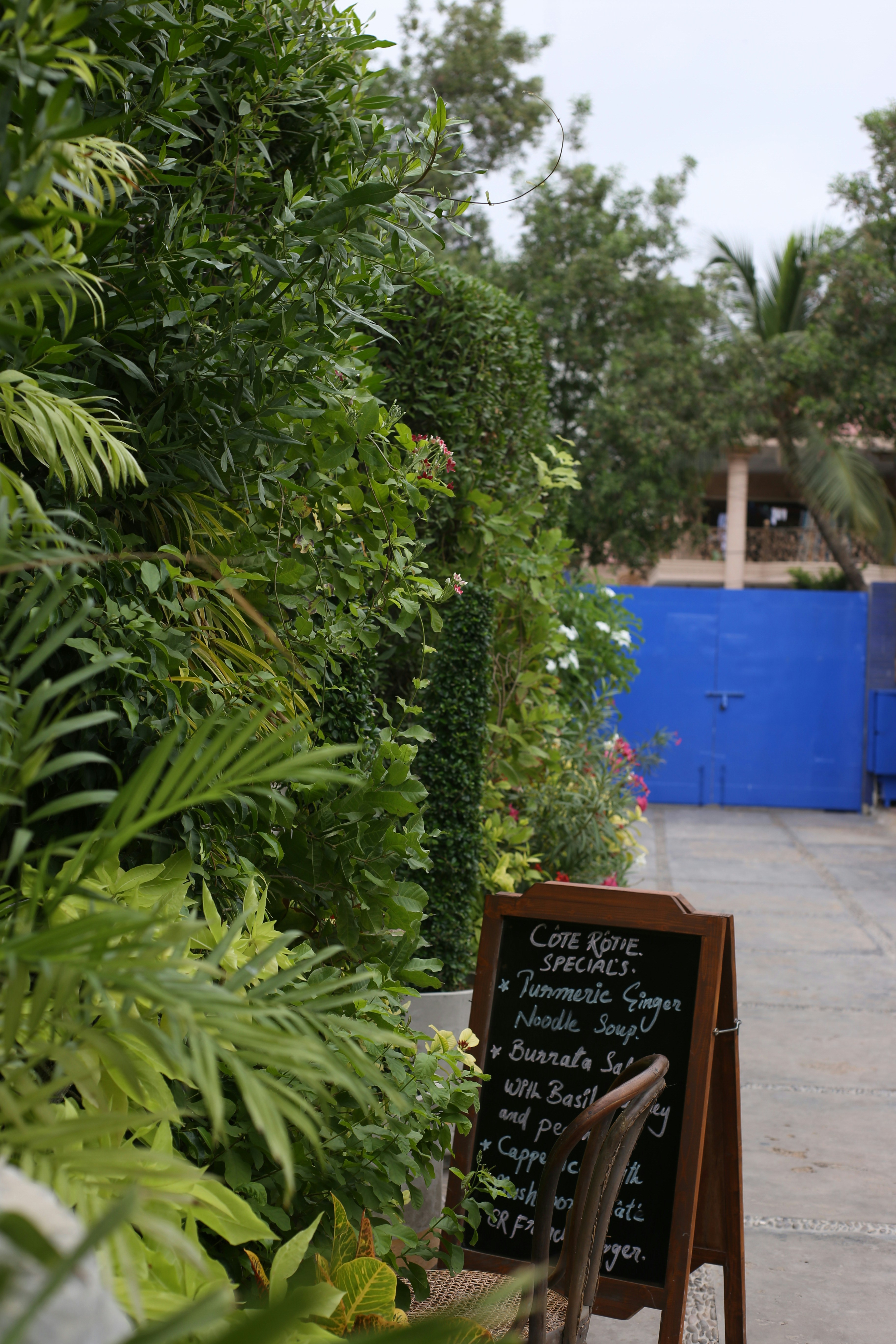 Verdant Corridor to a Bright Blue Gate: Chalkboard Sign in the Foreground