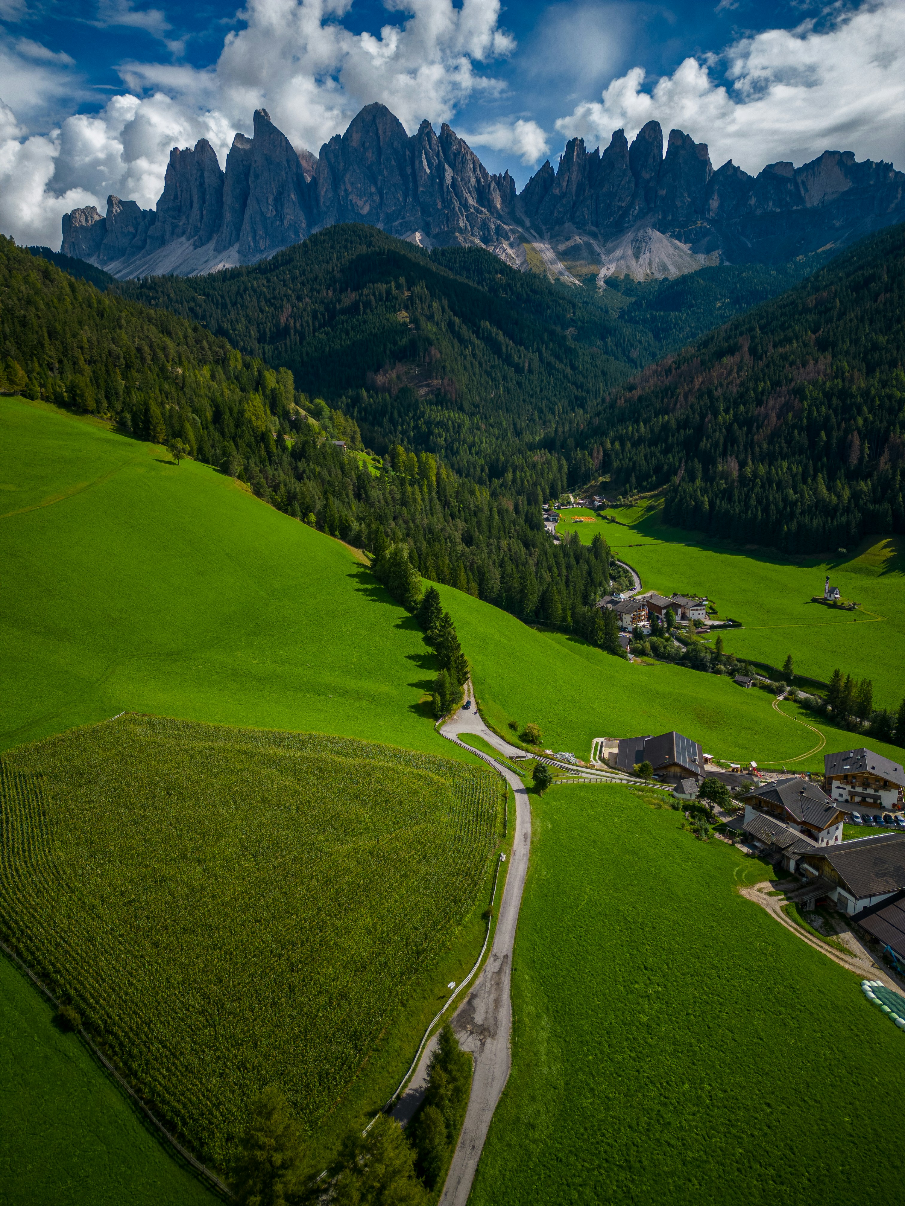Verdant Valley Ascent Under Jagged Peaks