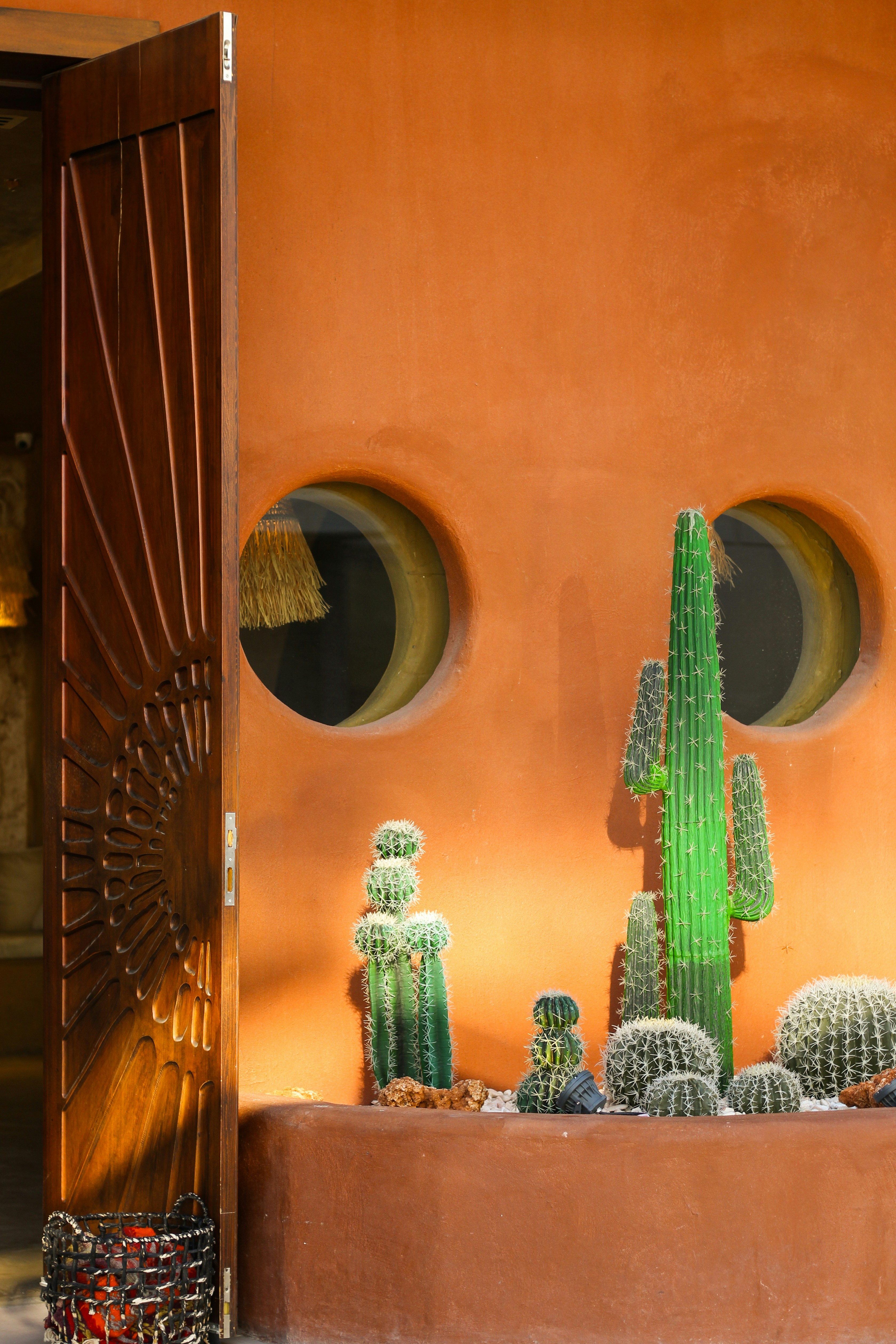 Cacti by Round Windows: Sunlit Adobe Courtyard