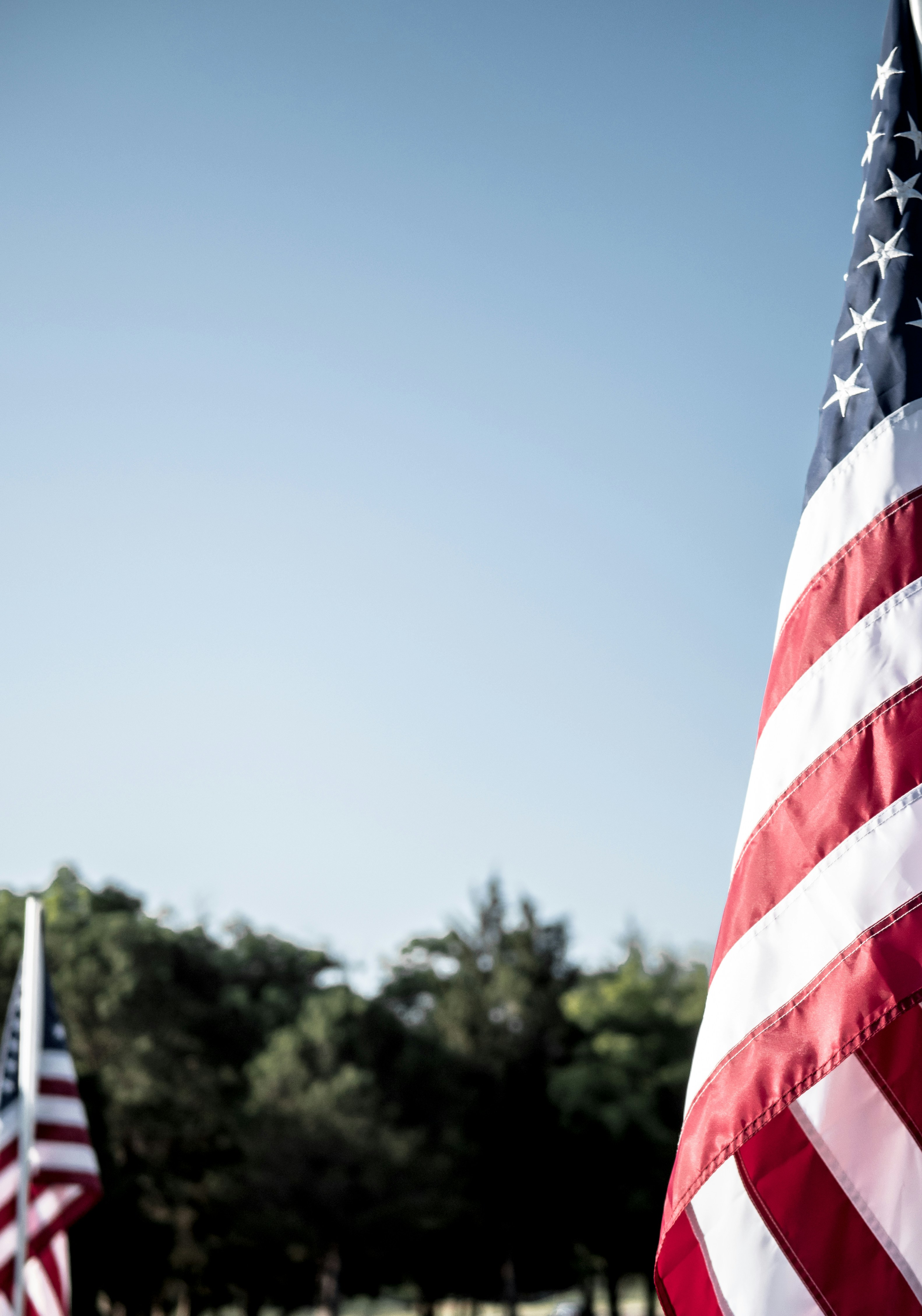 Two american flags in a field with trees in the background photo – Free ...