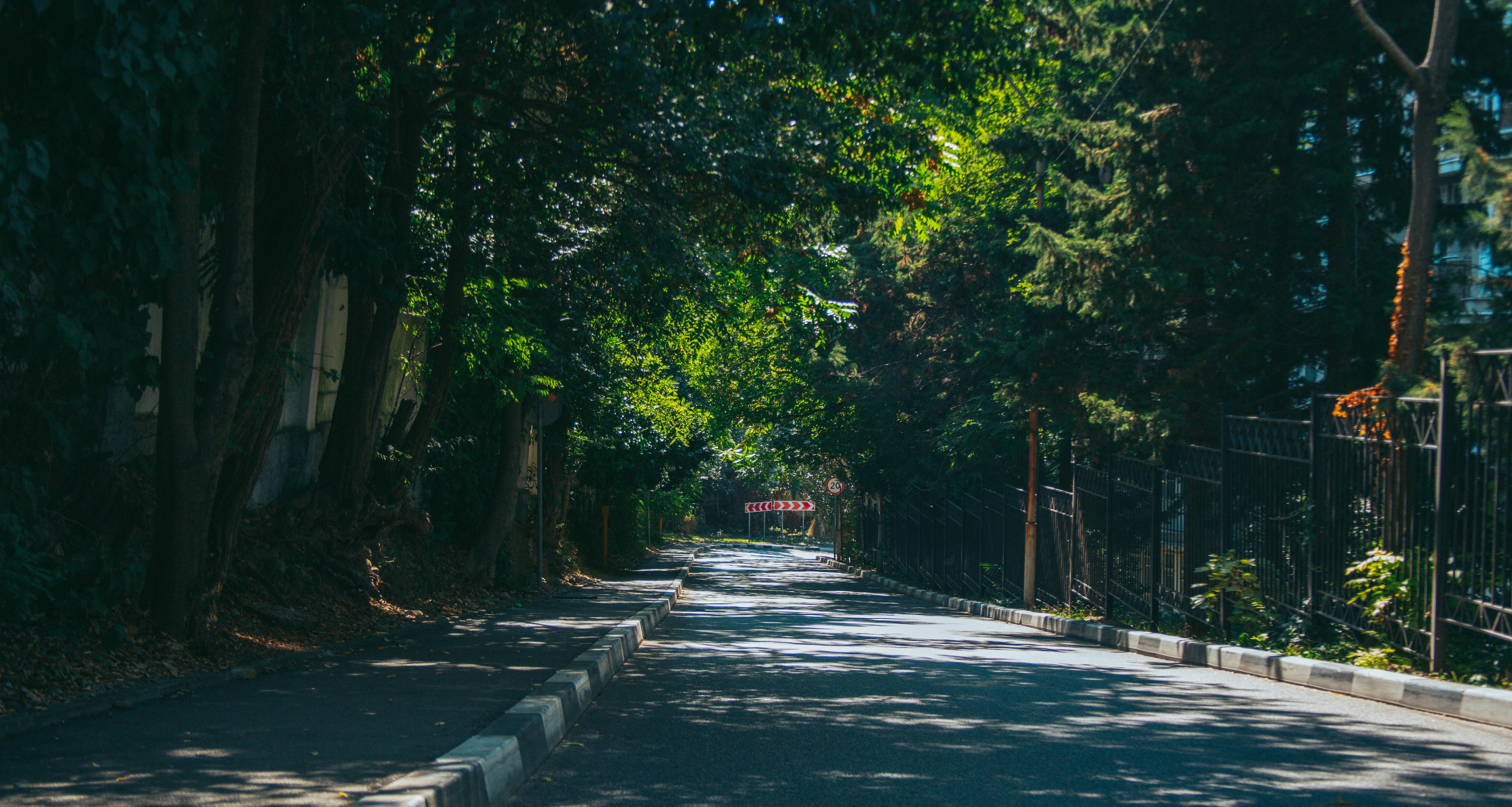 A street lined with lots of trees next to a fence photo – Free Road ...