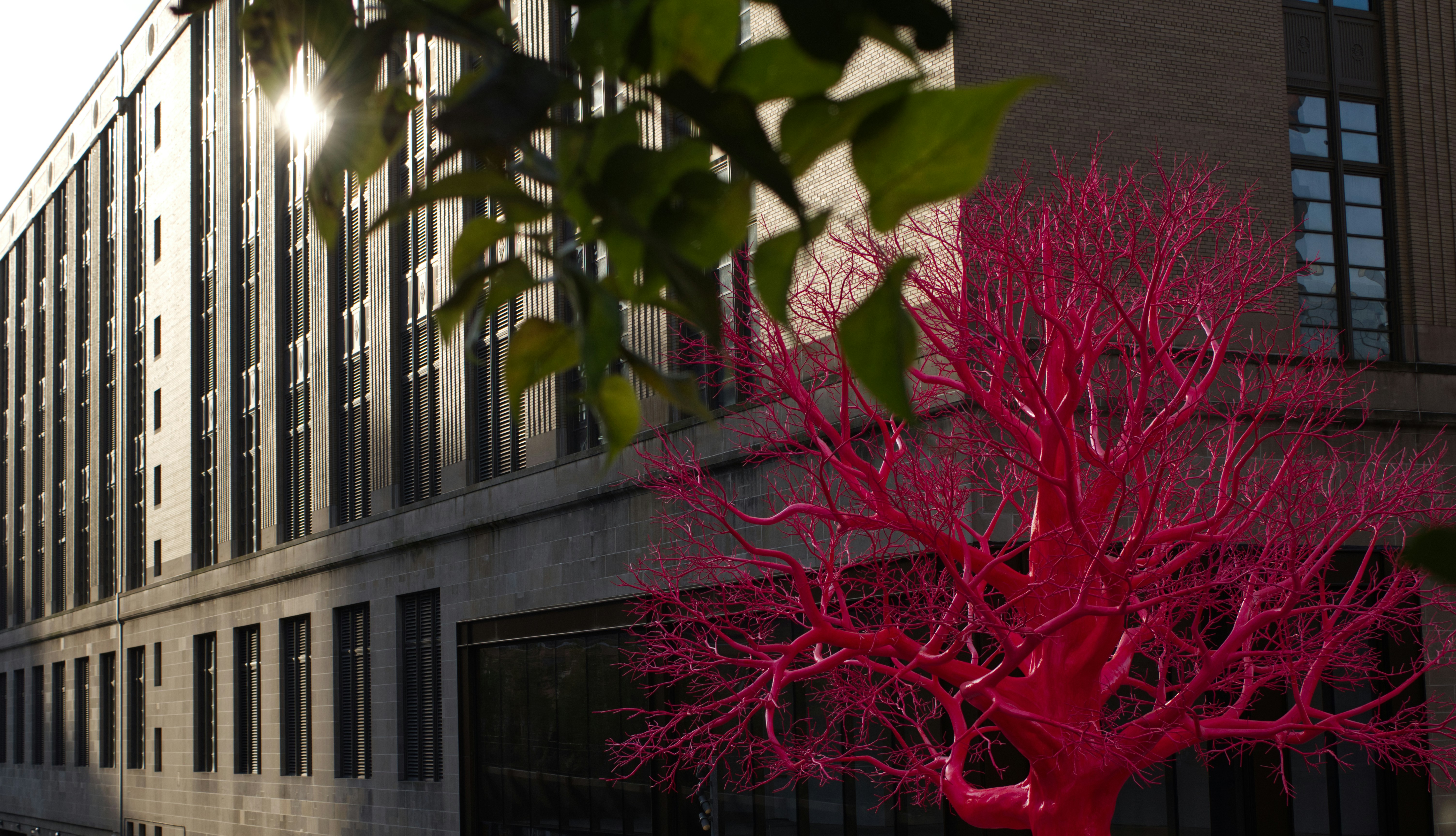 Crimson Neon Tree Framing a Glass-and-Brick Urban Facade