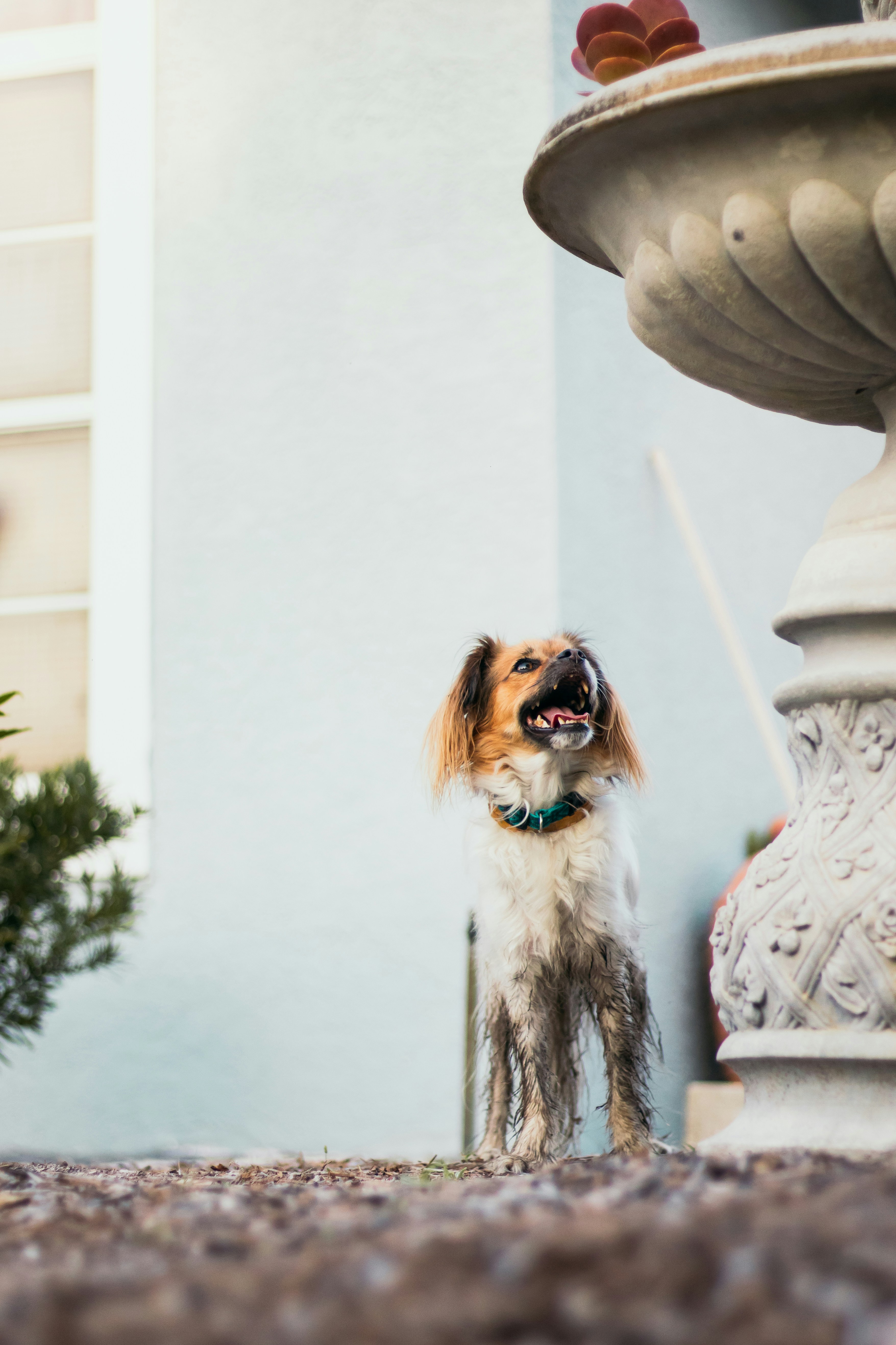 Zach Jenkins (@zjphotography) | Unsplash 사진 커뮤니티