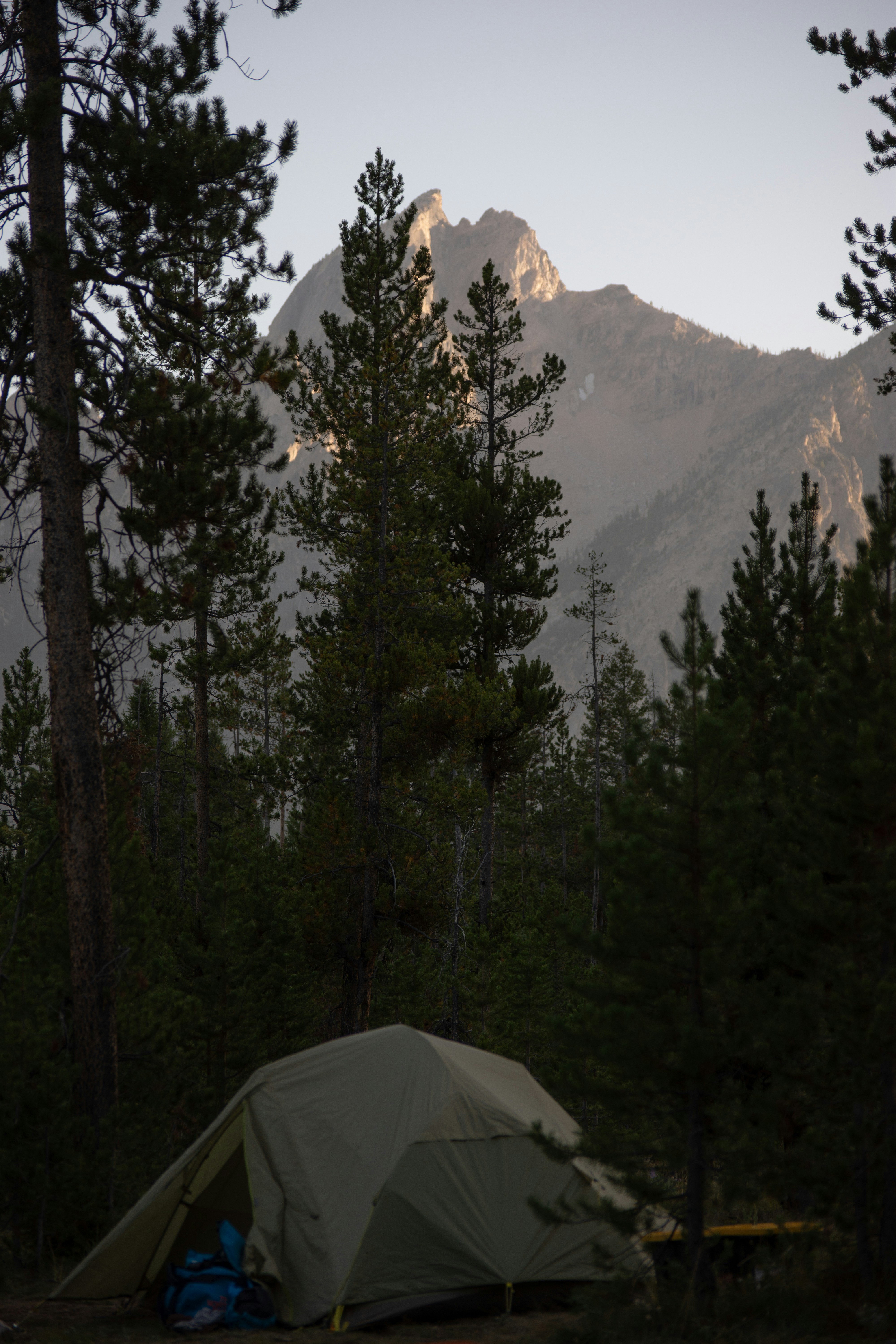Sunlit Peak Above the Pines: A Quiet Mountain Camp at Dawn