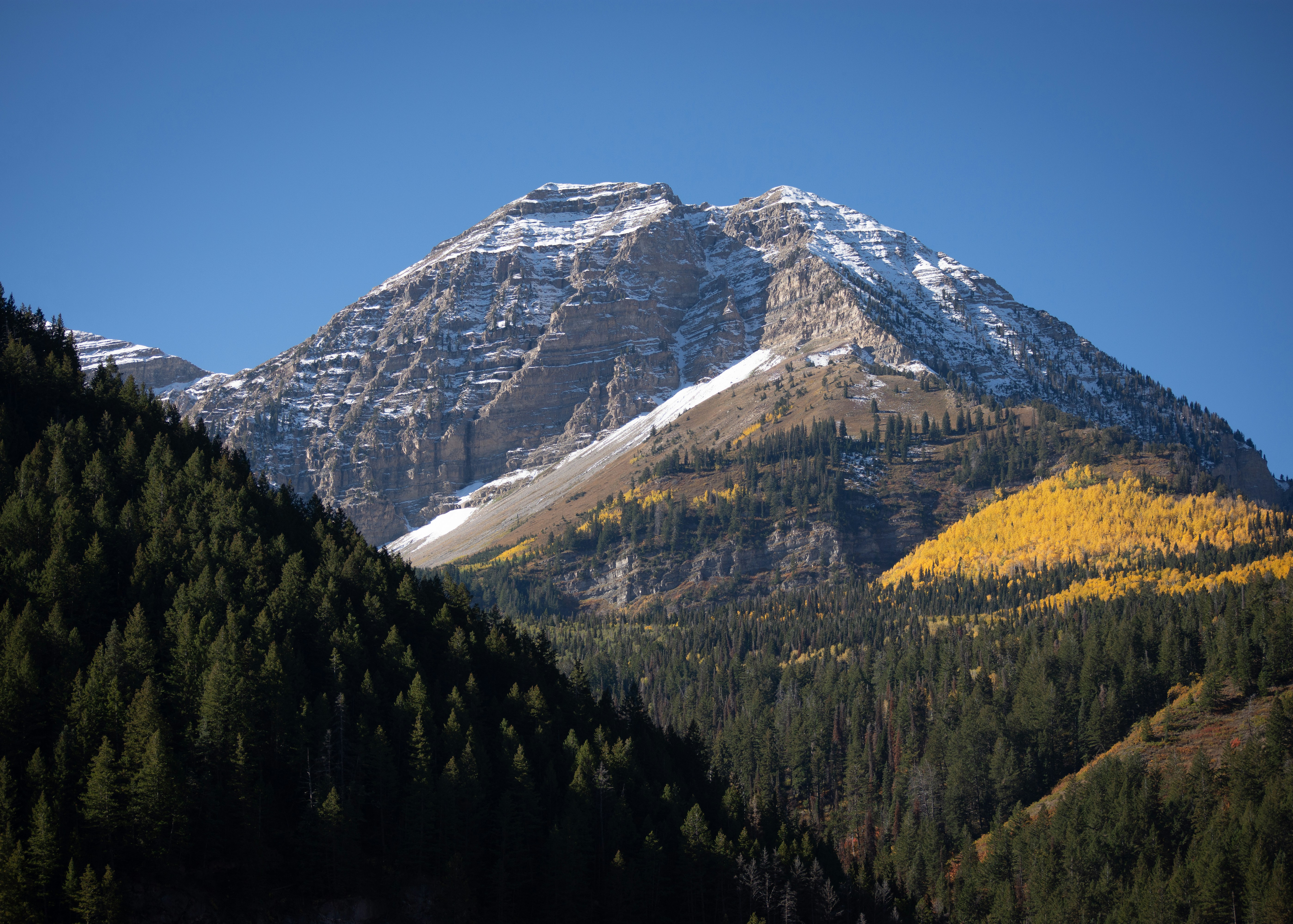 Snow-Kissed Summit Above a Golden Alpine Forest