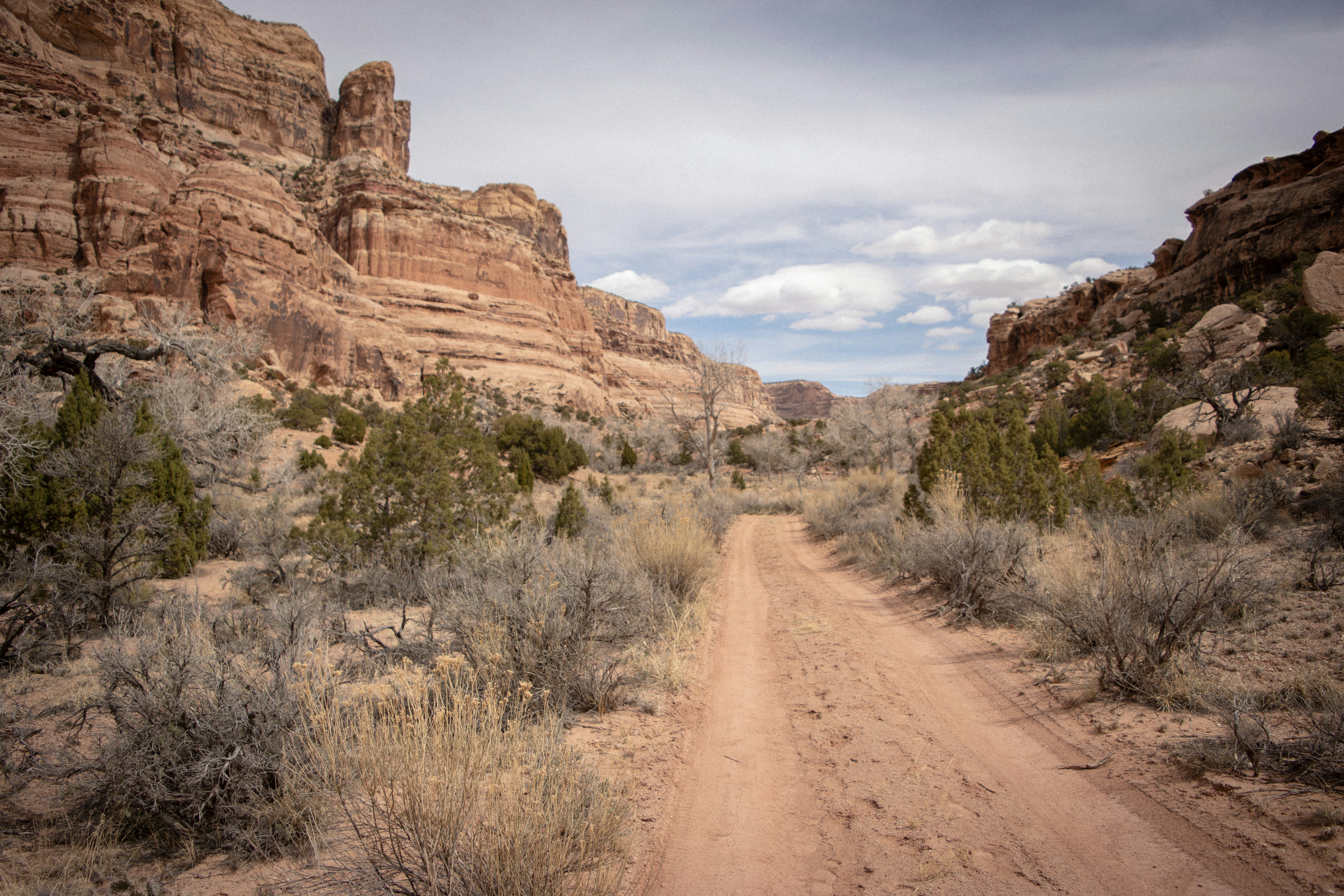 The Good Red Road To SunDance Land - by Ex-Deer Tribe