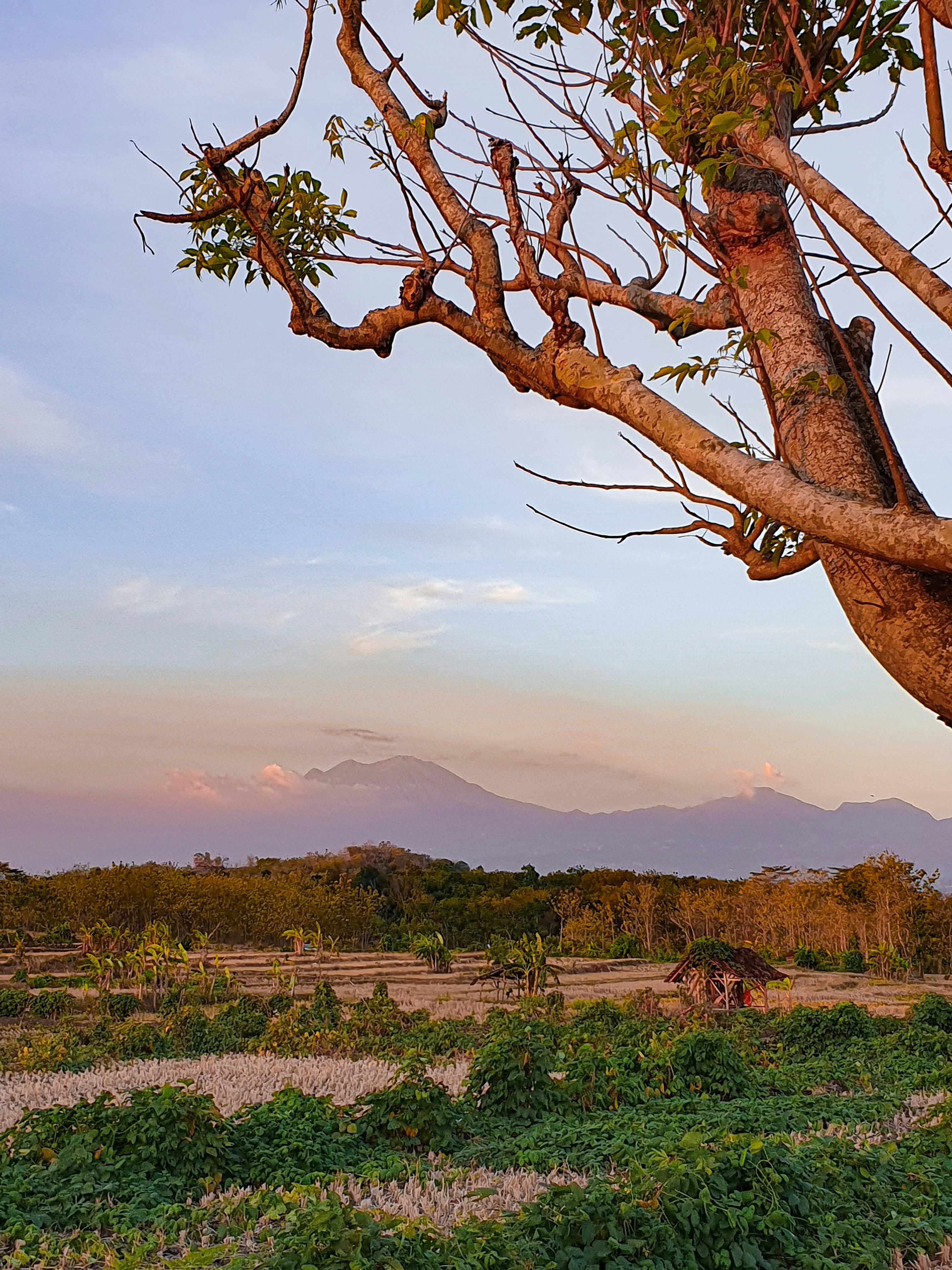 Sample photo from Samsung Galaxy S10e