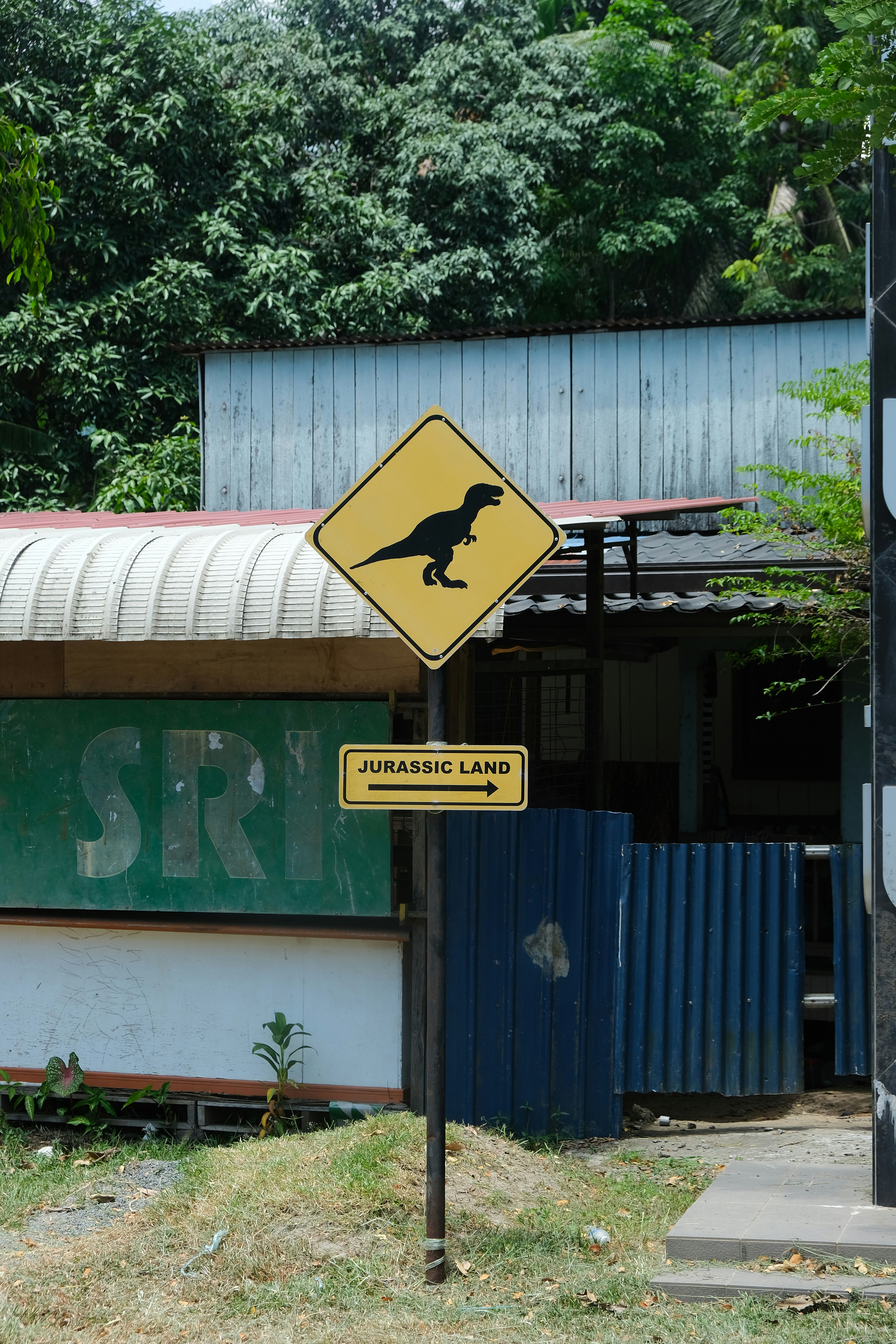 A yellow dinosaur crossing sign in front of a building photo – Free ...