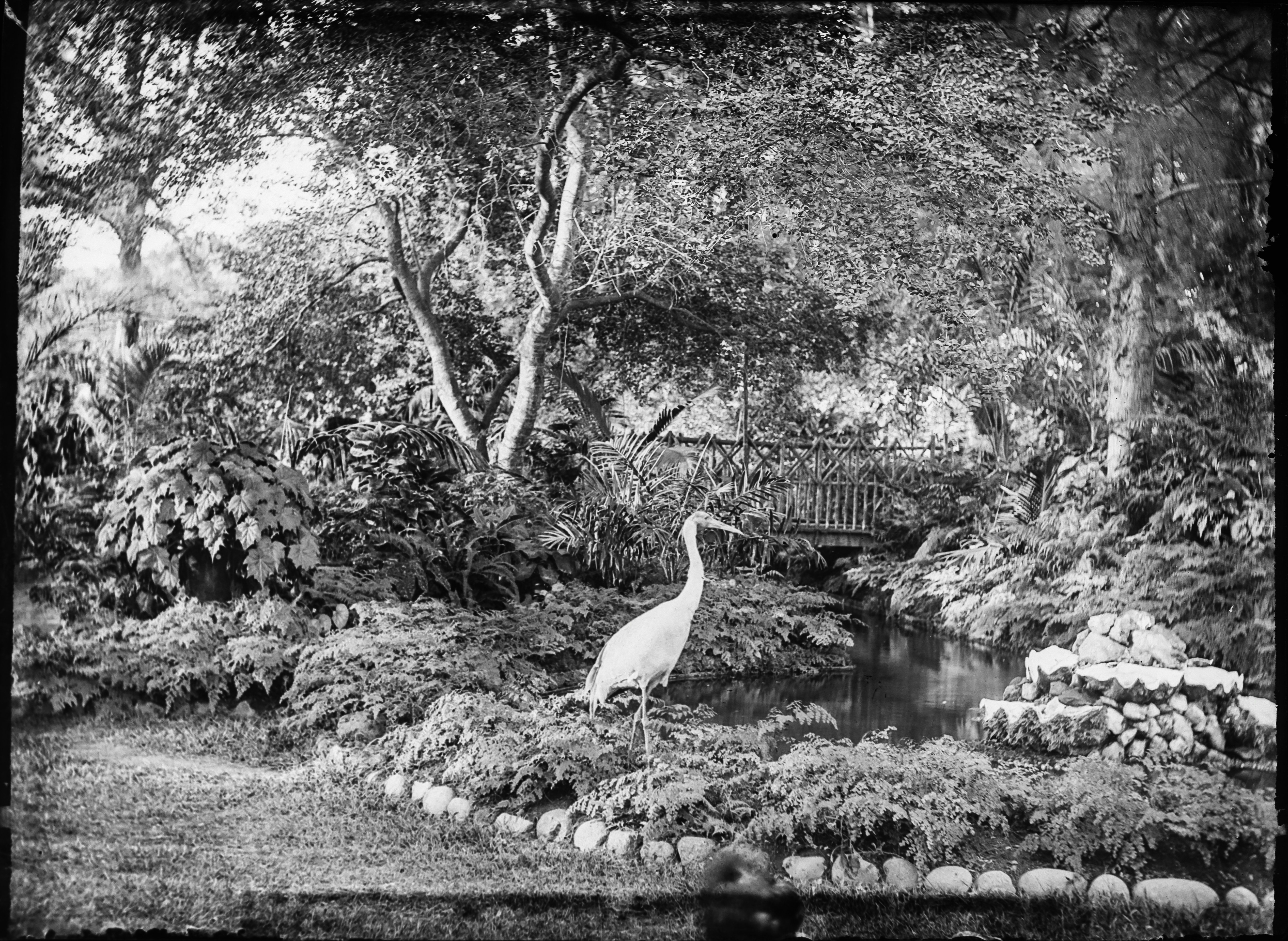 Silent Heron in a Moonlit Garden