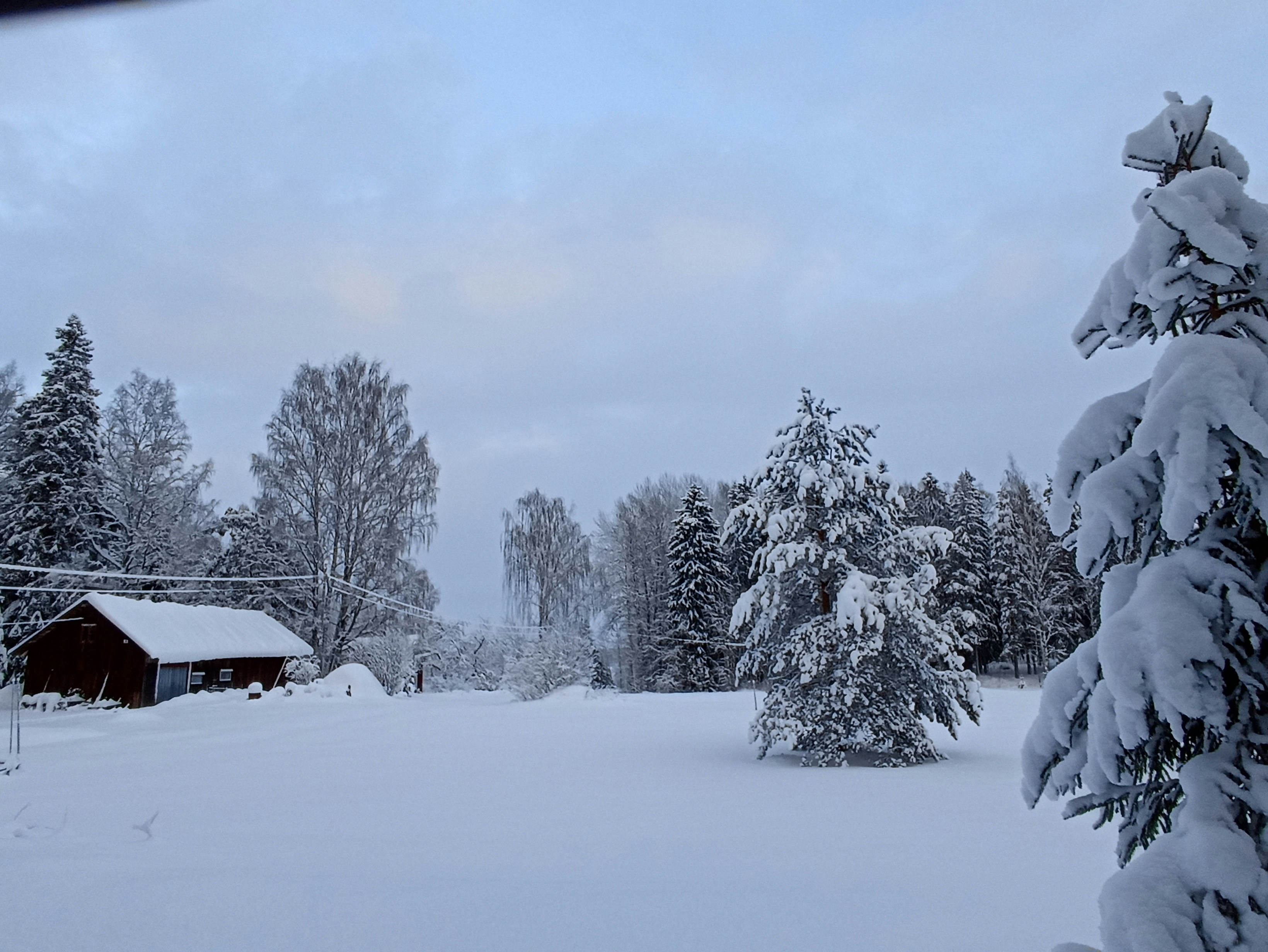 Snow-covered landscape featuring a rustic cabin surrounded by tall trees blanketed in white. The serene atmosphere evokes a sense of tranquility.