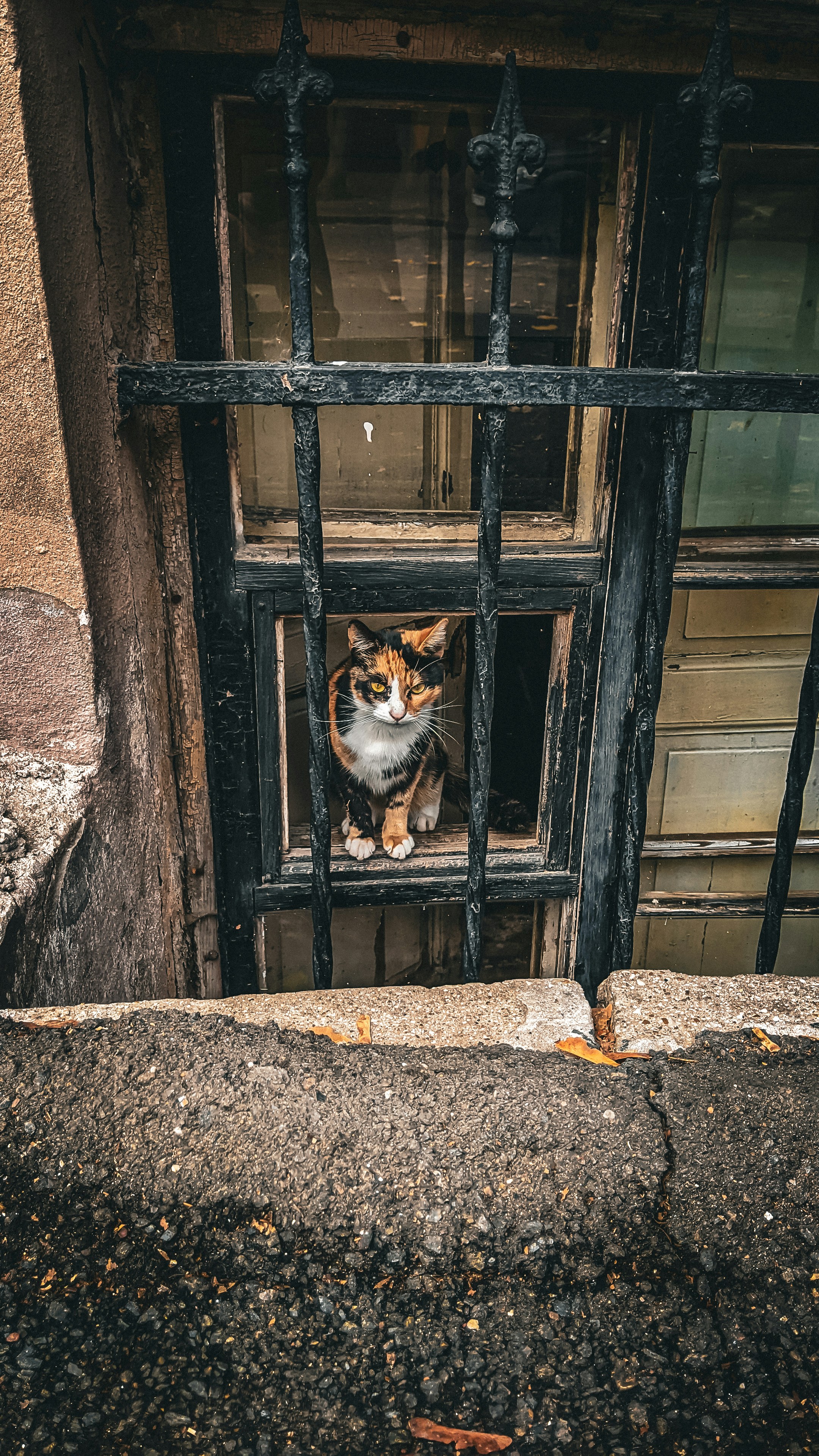 I captured this photo in Odesa, Ukraine. I am grateful to the Ukrainian Armed Forces for making it possible. You can aid Ukraine in putting an end to russian aggression by contributing to their cause through this donation link - https://u24.gov.ua/. Thank you <3