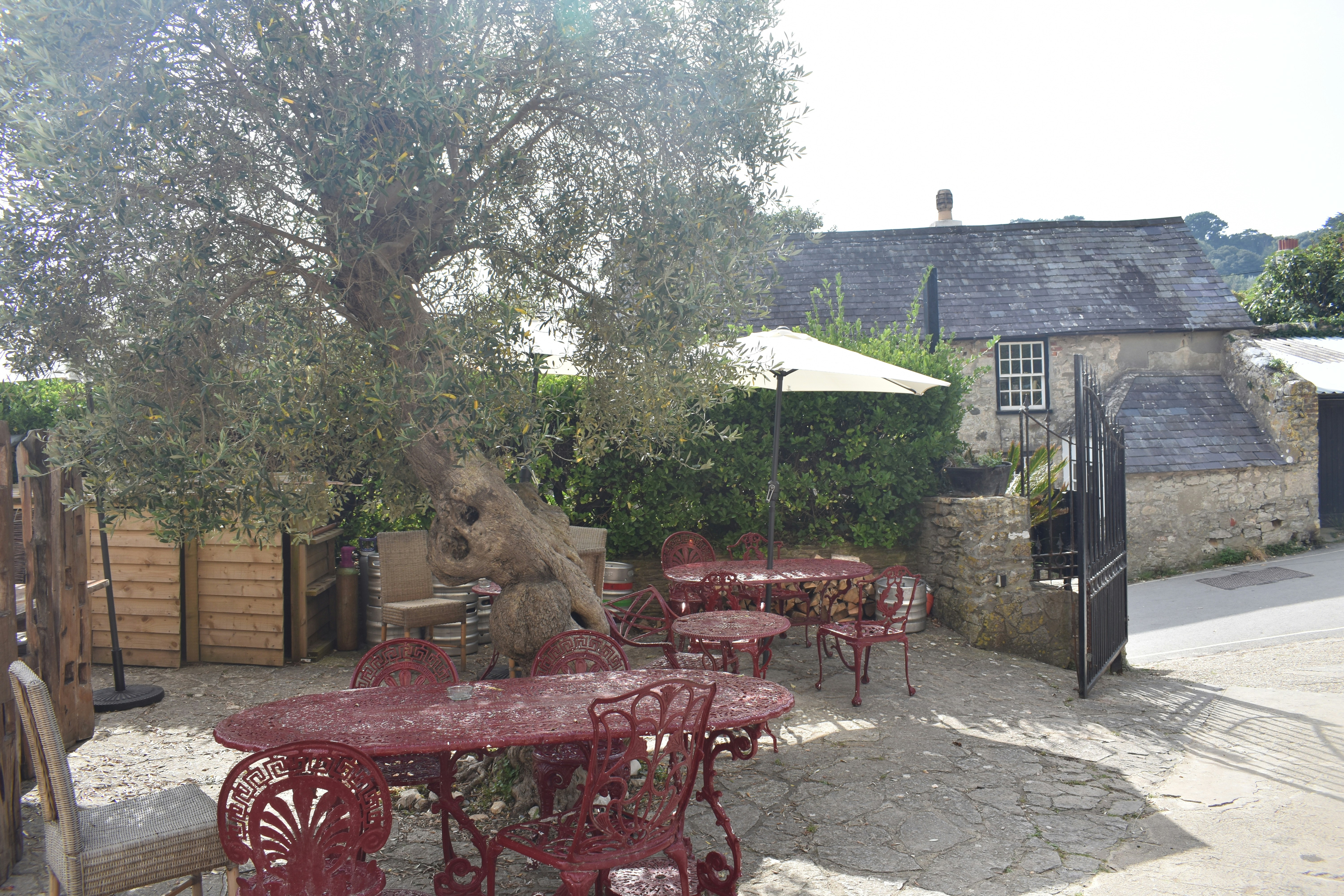 An inviting outdoor café scene featuring rustic red tables and chairs under the shade of an ancient olive tree. The charming stone building adds to the serene atmosphere.