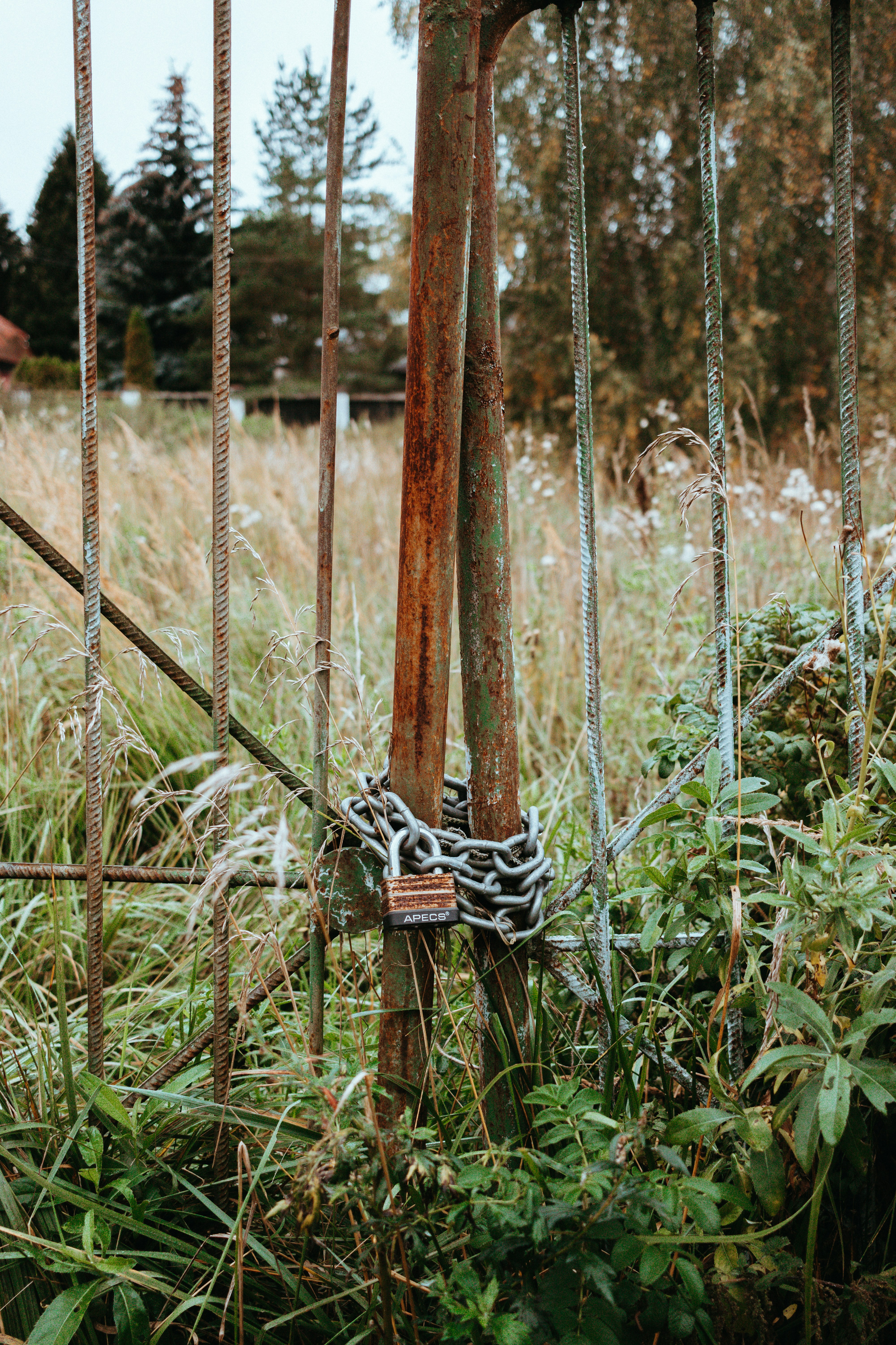 Rust-Sealed Gate: Chains Guard the Hidden Meadow