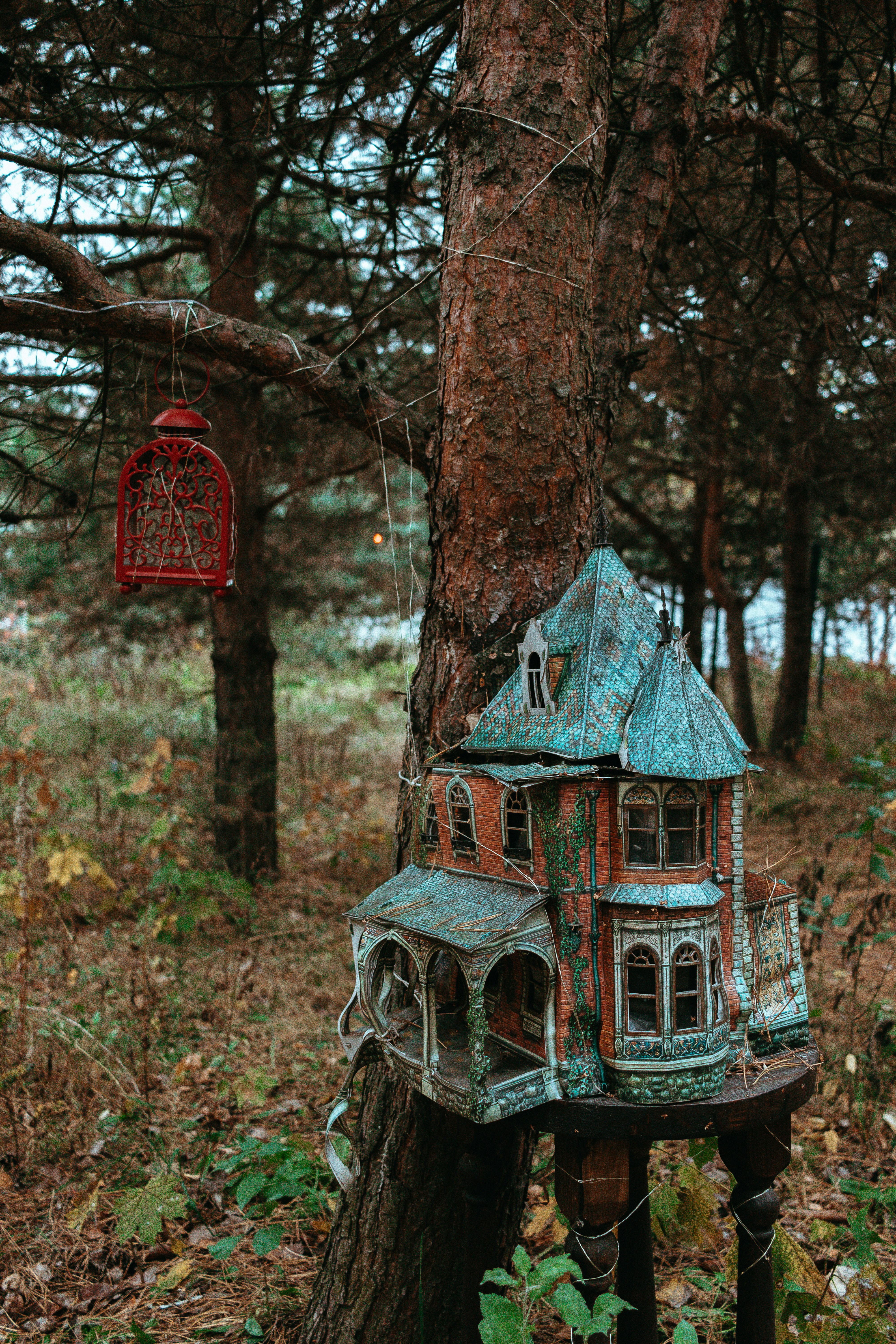 The Treebound Dollhouse: A Moss-Covered Miniature Mansion in the Pines