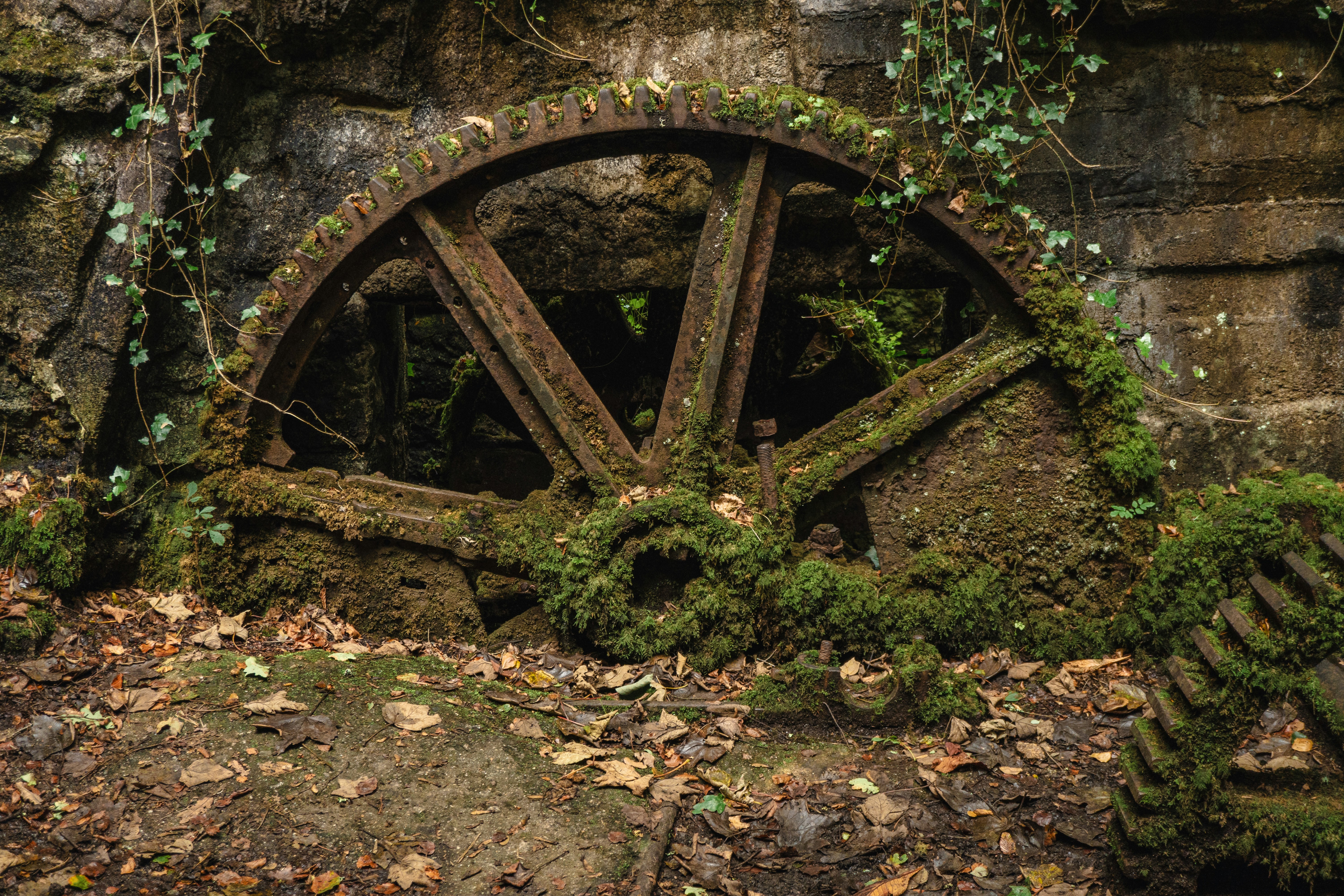 Verdant Echoes of Industry: A Moss-Covered Water Wheel in Ruin