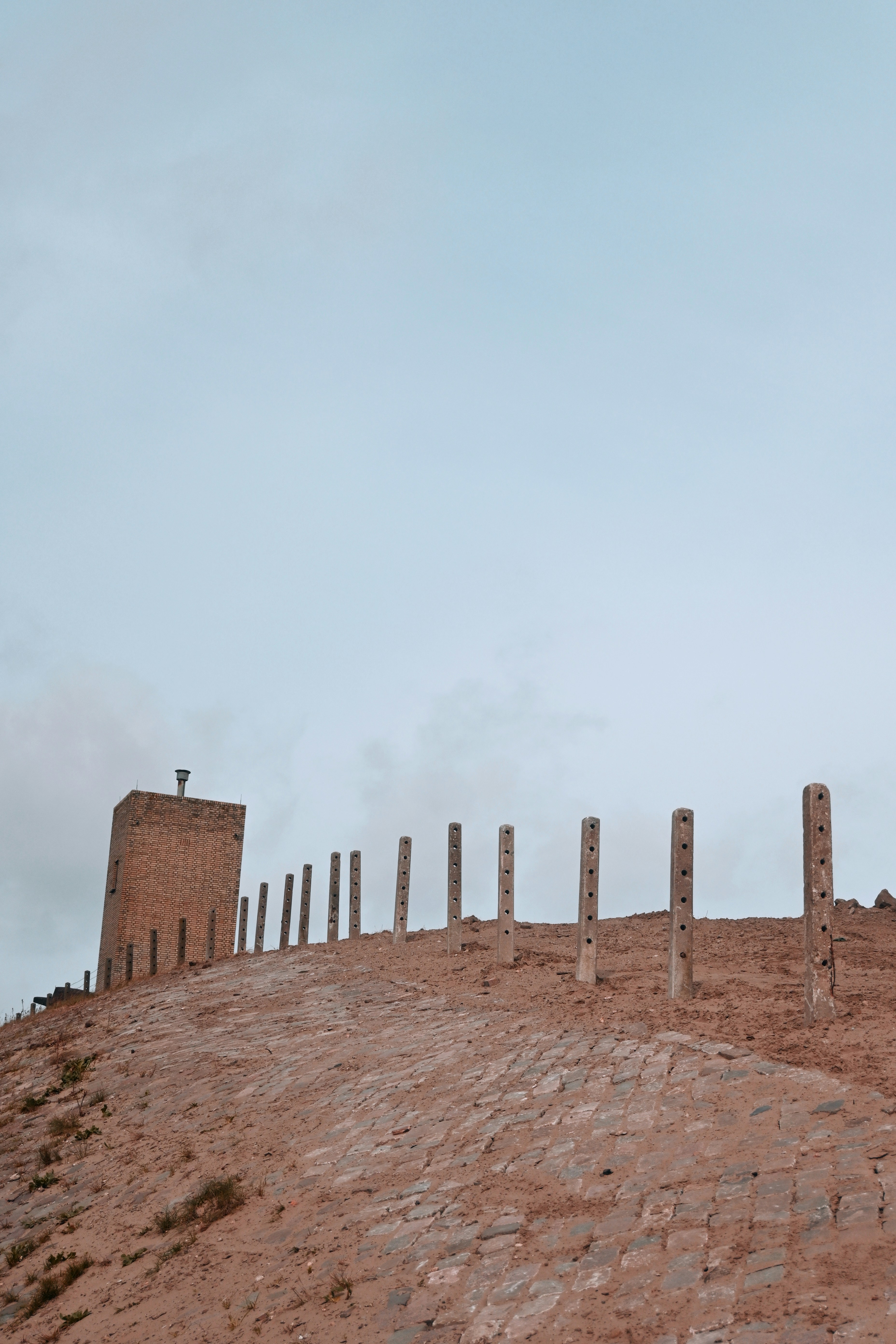 Photo by Ludovica Palio with Nikon Z50