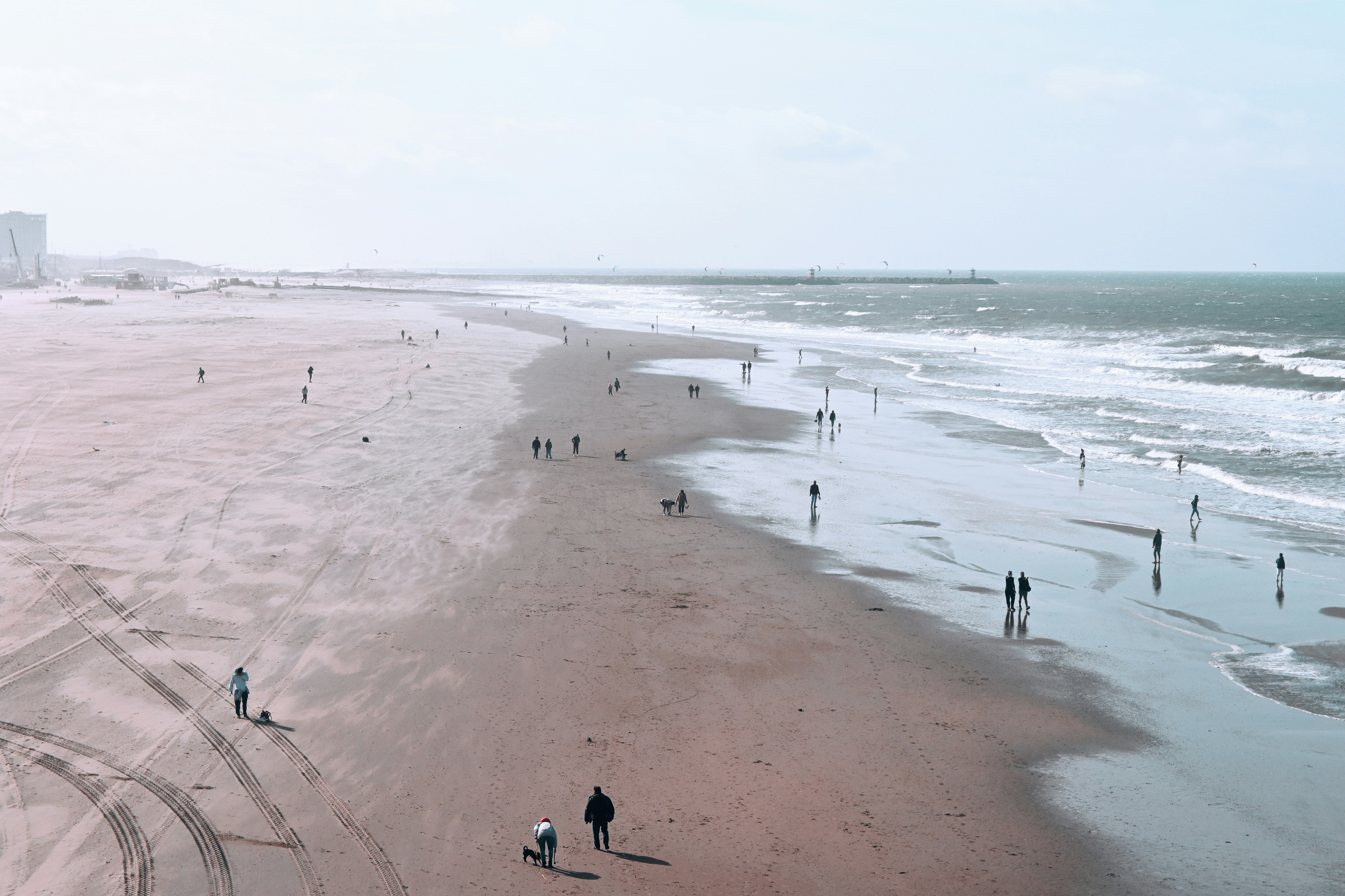 Coastal silhouettes thread along a quiet tidal shoreline