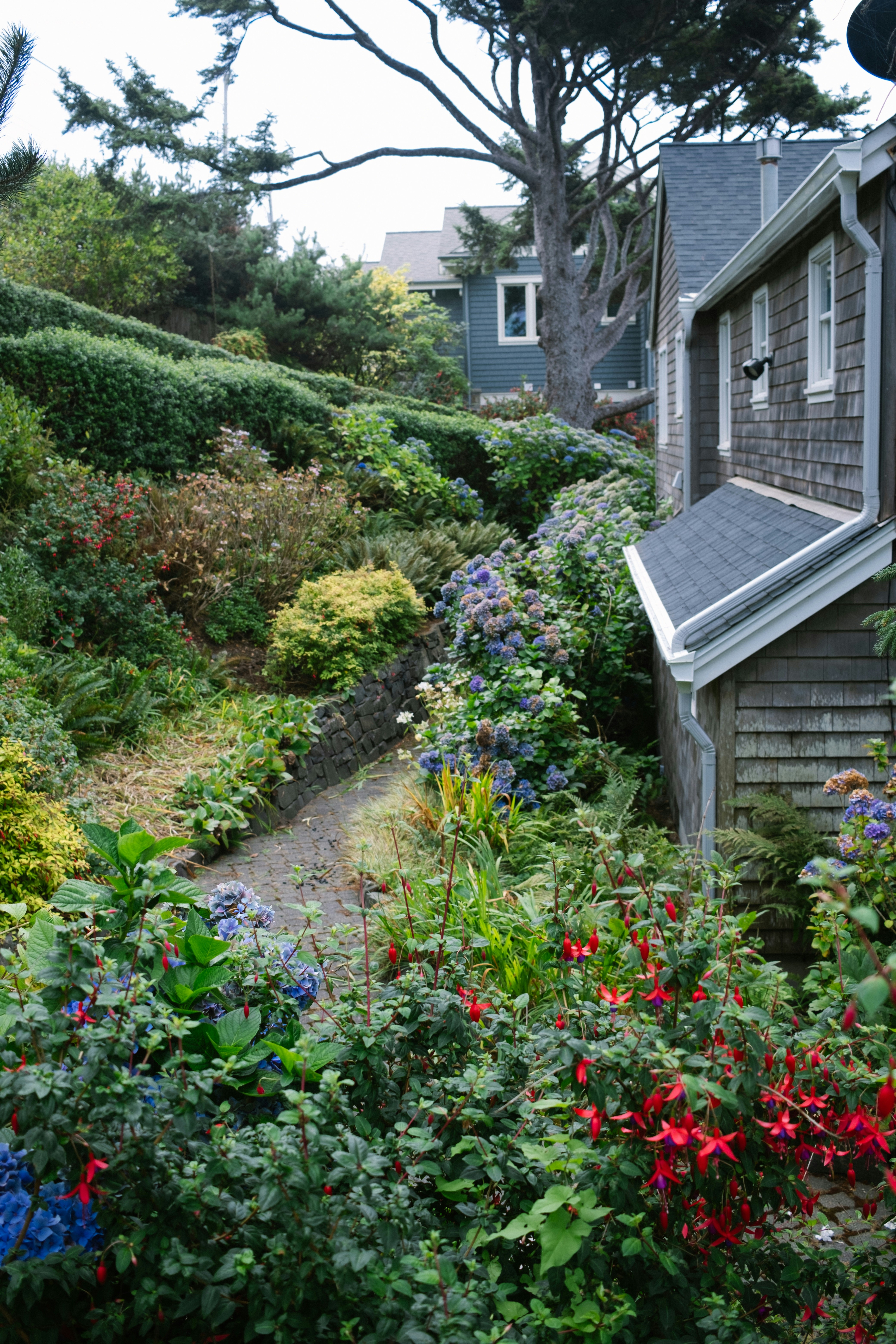 A garden with flowers and a house in the background photo – Free Garden ...