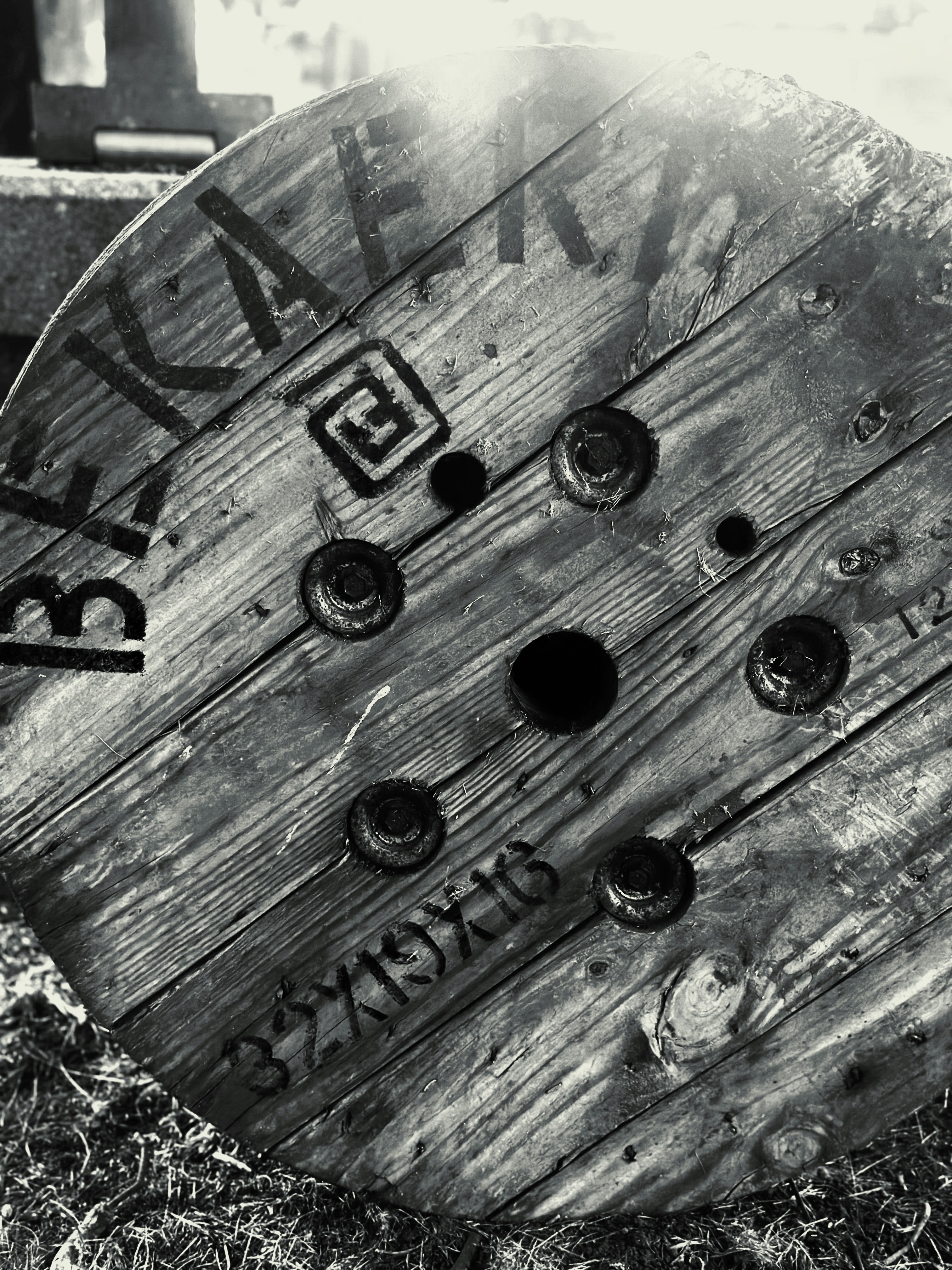 Ein Stück Holz, das im Gras sitzt Foto – Kostenloses Bild zum Thema ...