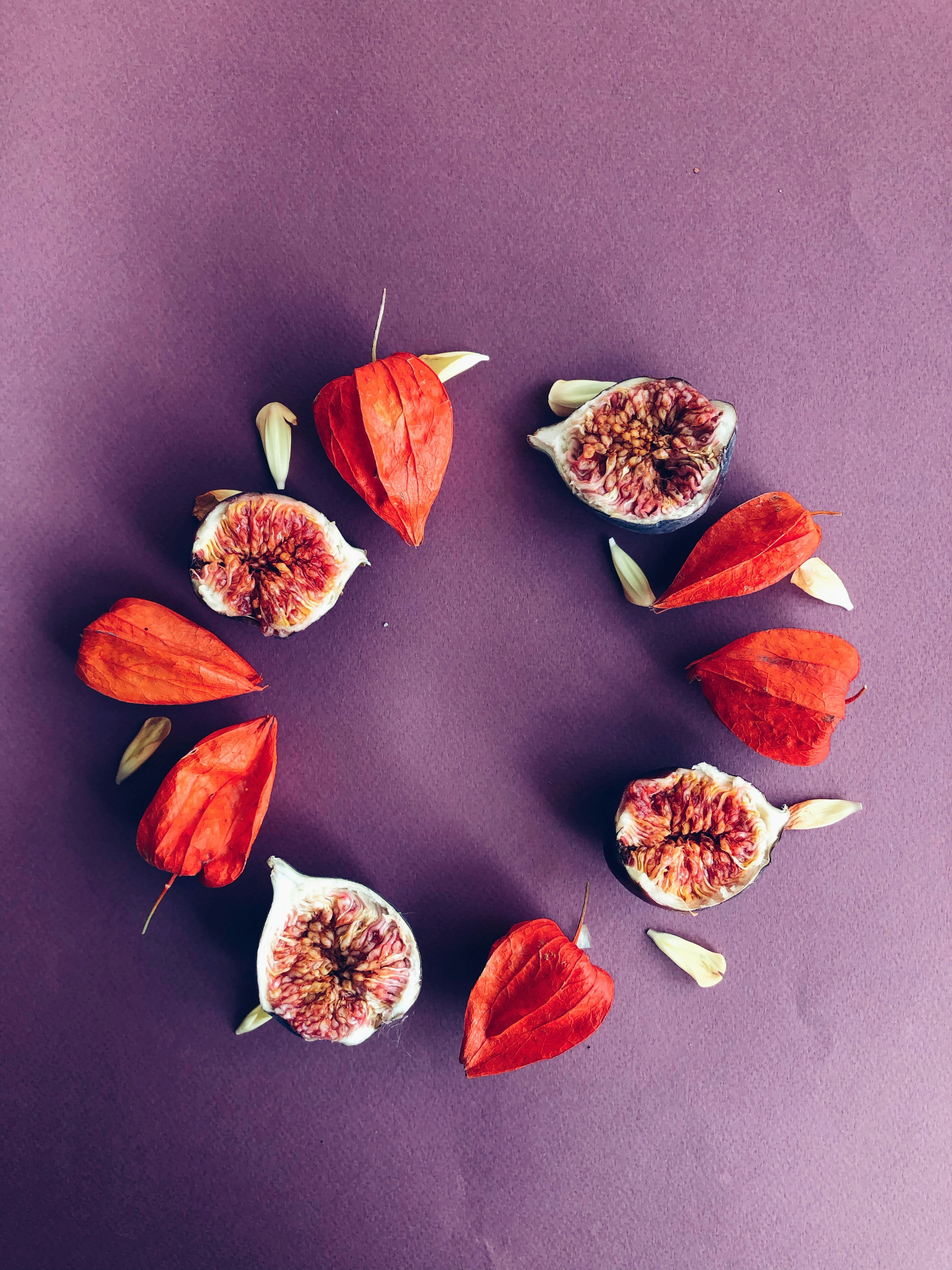 Ring of Lanterns: Red Physalis and Fig Halves on Purple Velvet