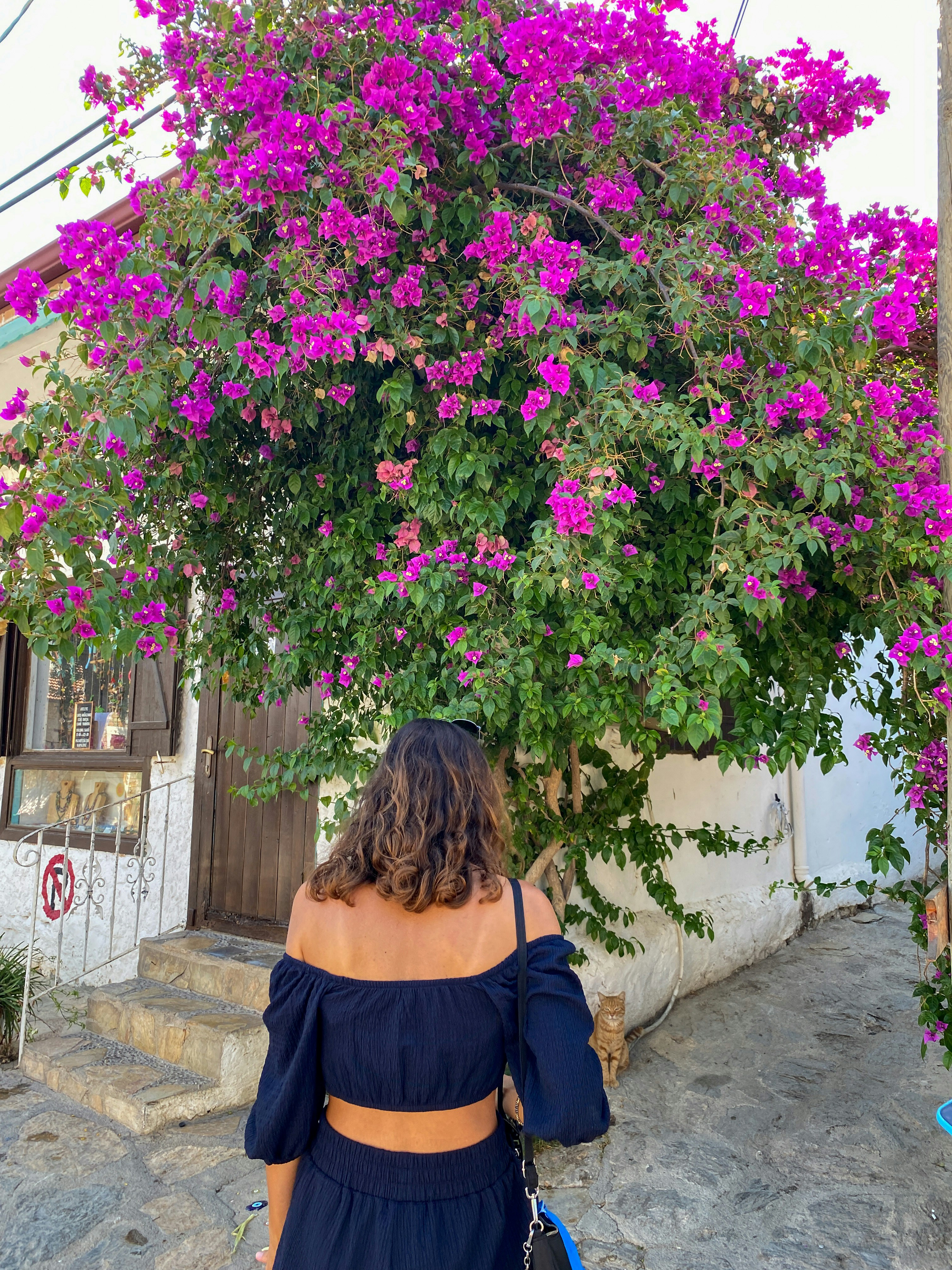 Fuchsia Bougainvillea Arch Framing a Woman in Navy on a Quiet Street