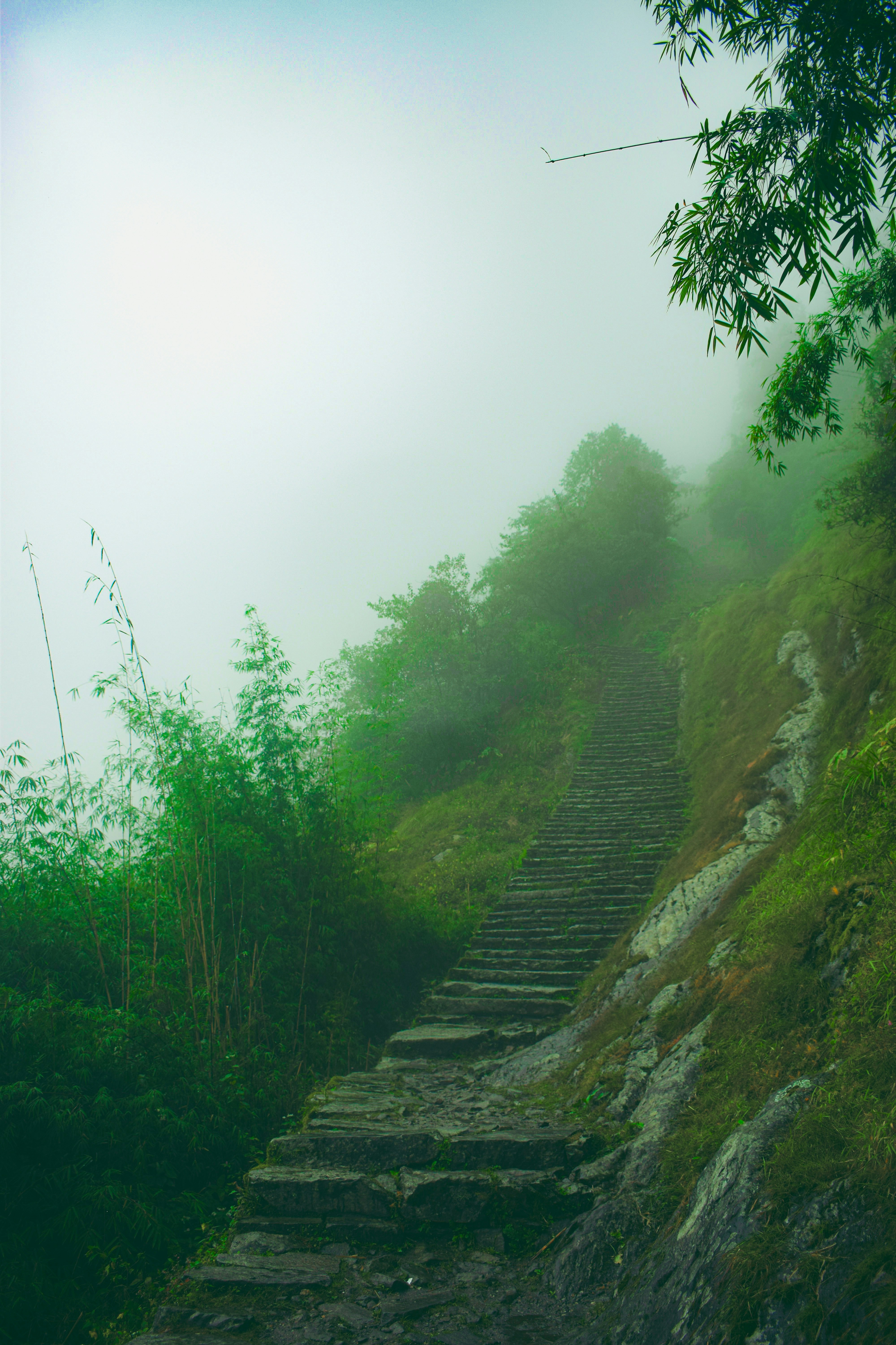 A set of stone steps leading up a hill photo – Free Green Image on Unsplash