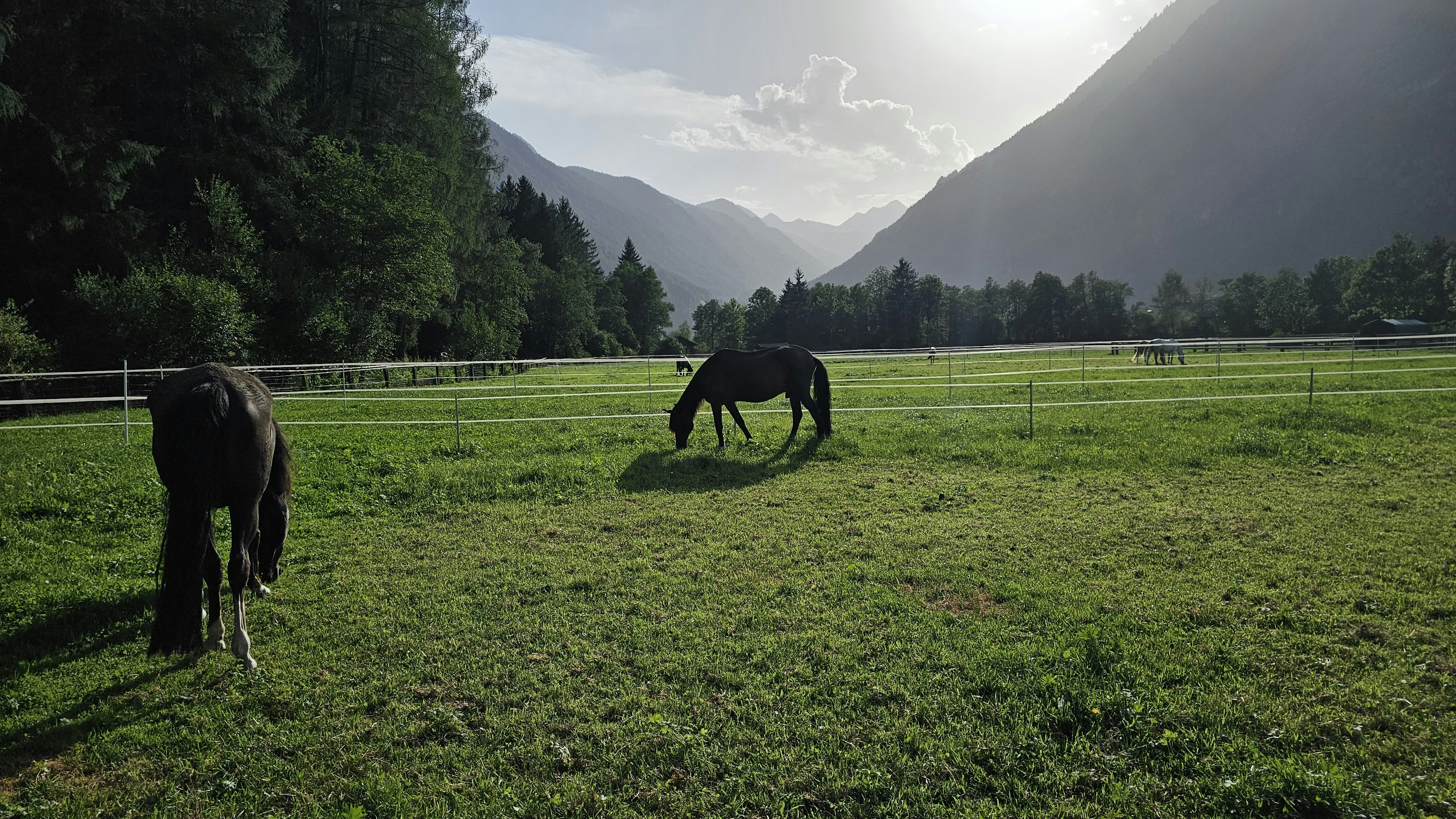 Diego Regina (@diegoregina) | Komunitas Foto Unsplash