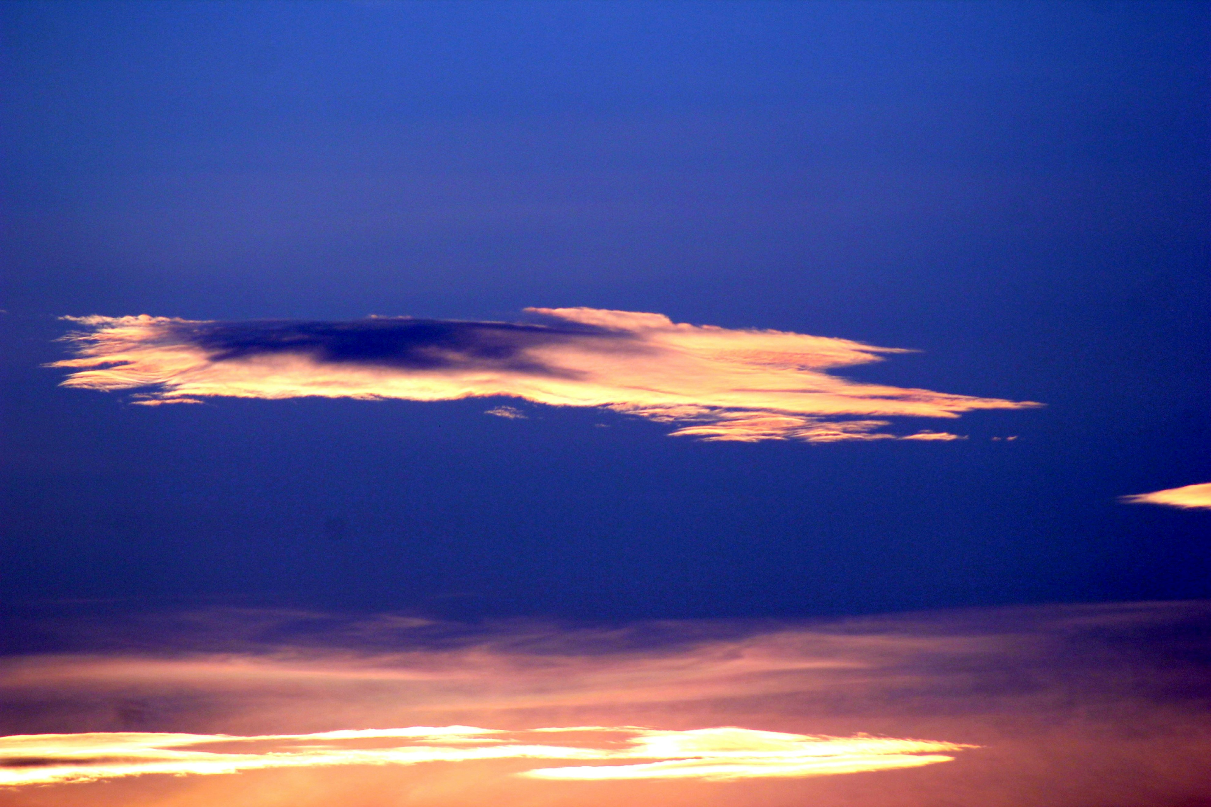 Tropical Wet Africa Climate Quiz and Flashcards