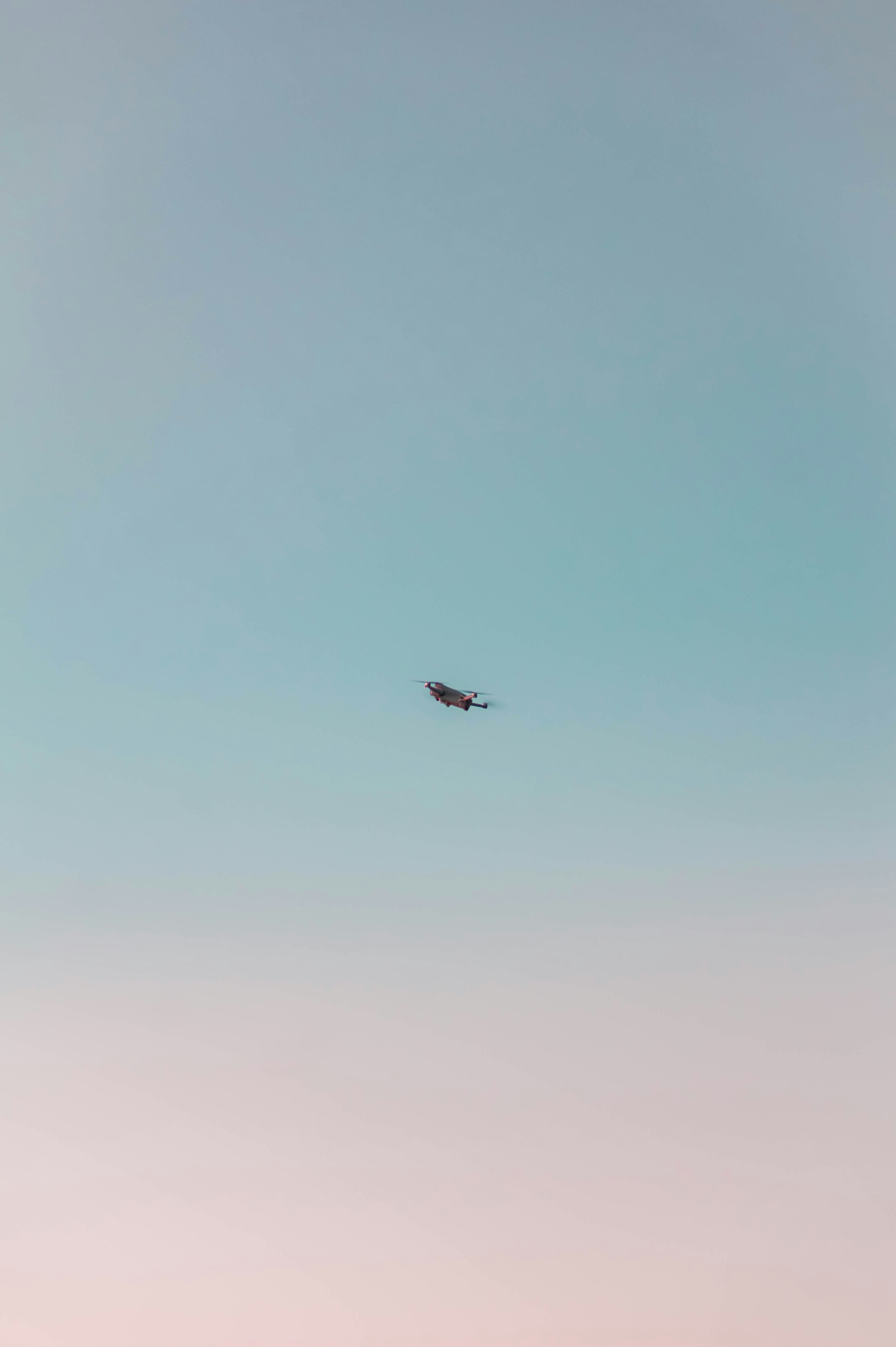 Photo by Geike Verniers with Sony Alpha 550