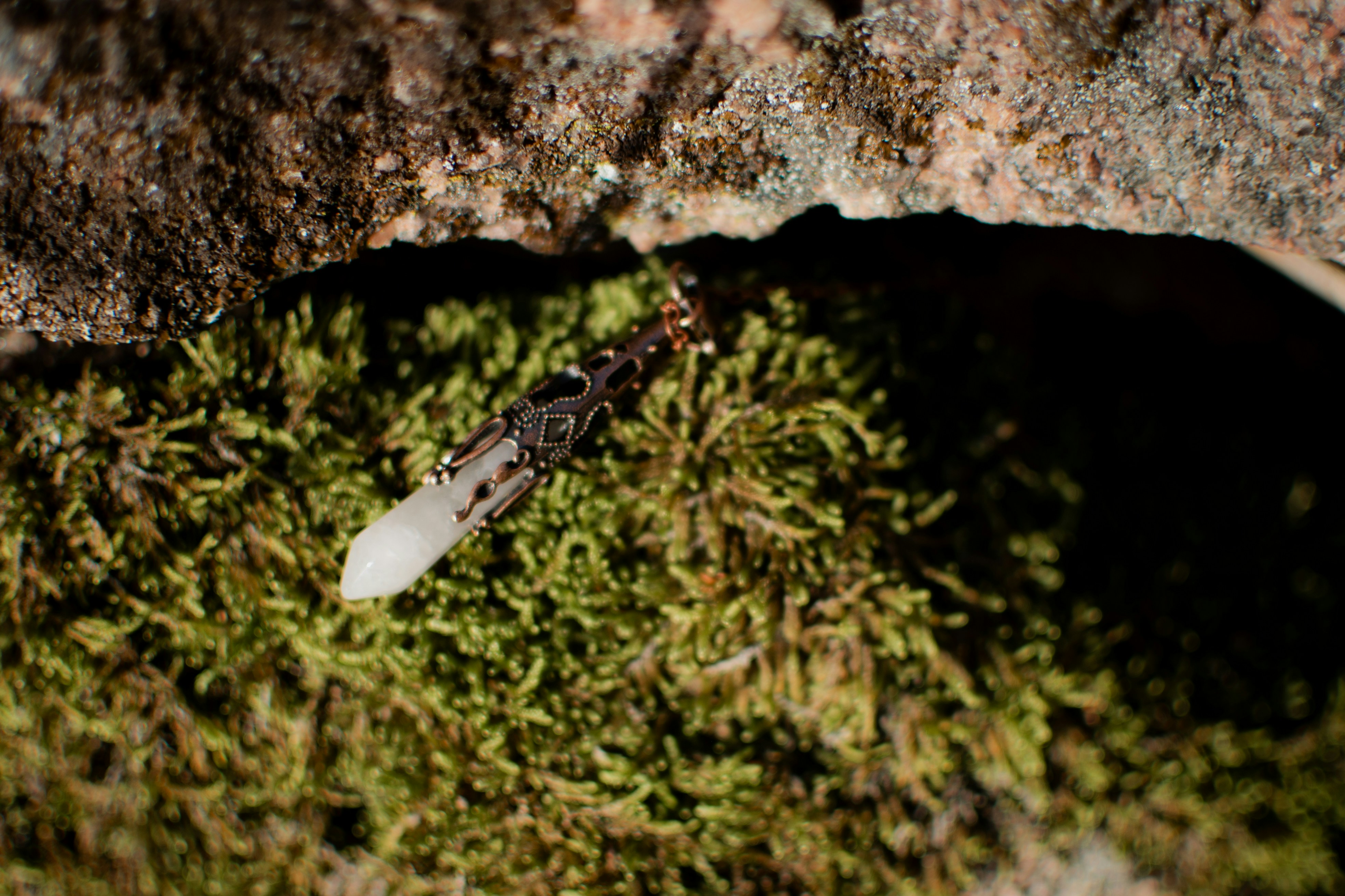 A bug crawling on a moss covered rock photo – Free Nature Image on Unsplash