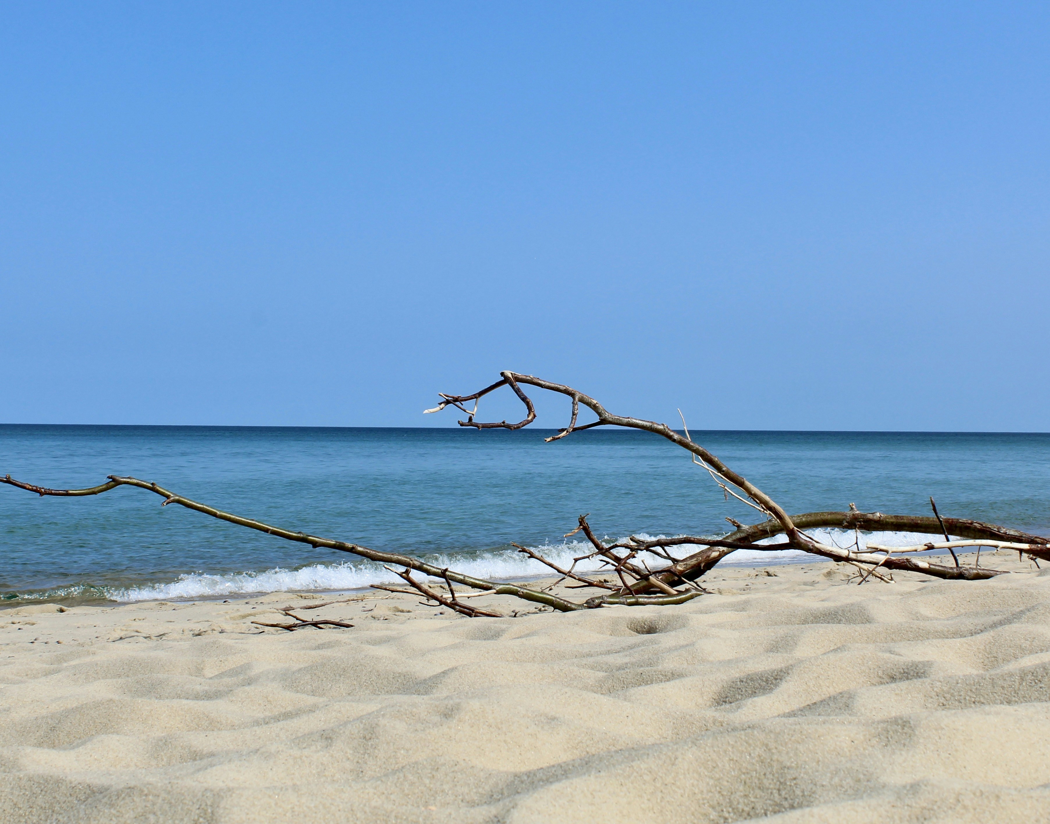 Sherri Morrill (@samsartdays) | Unsplash Photo Community