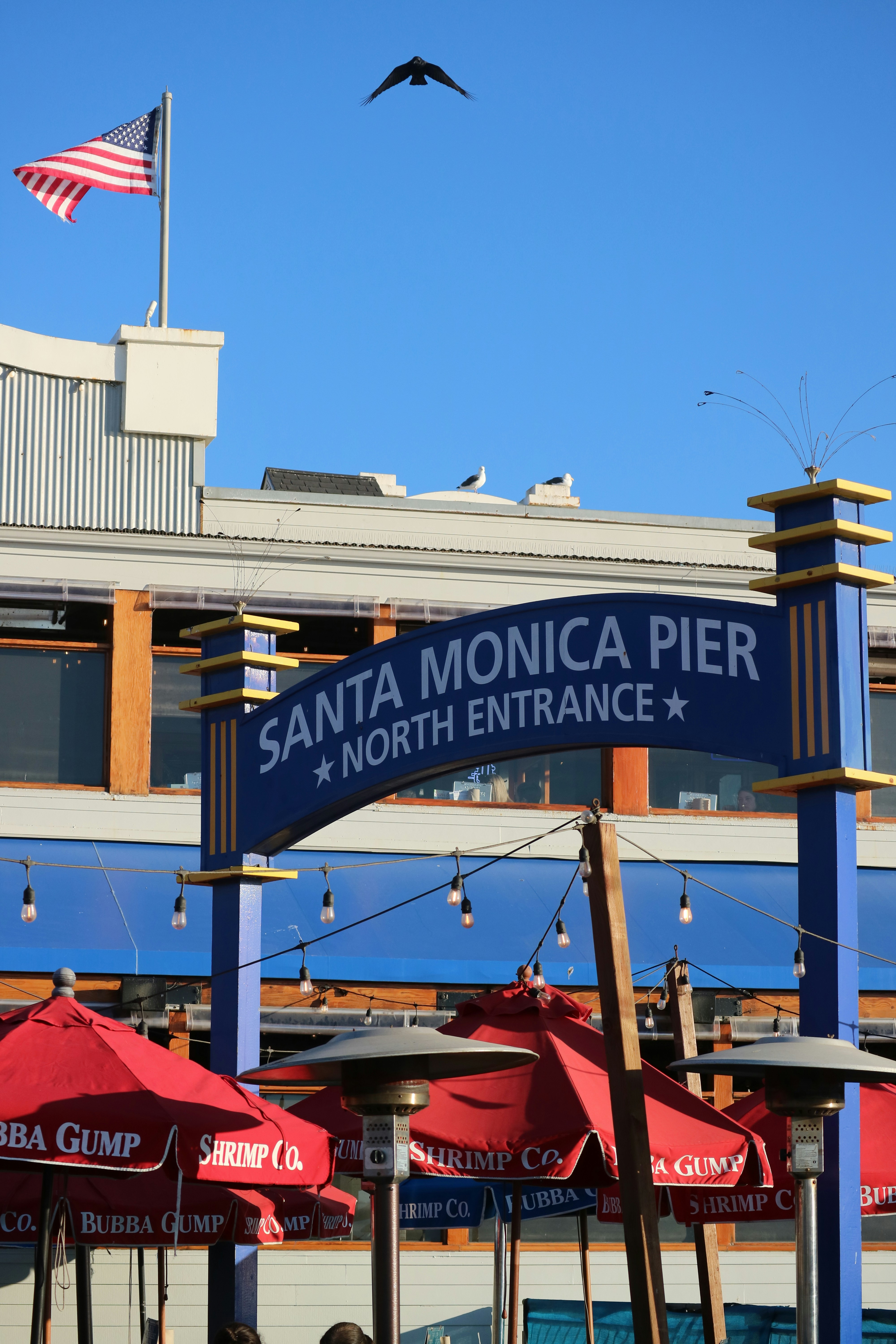 North Entrance Arch at Santa Monica Pier: Blue Sign, Bold Welcome Under a Clear Sky