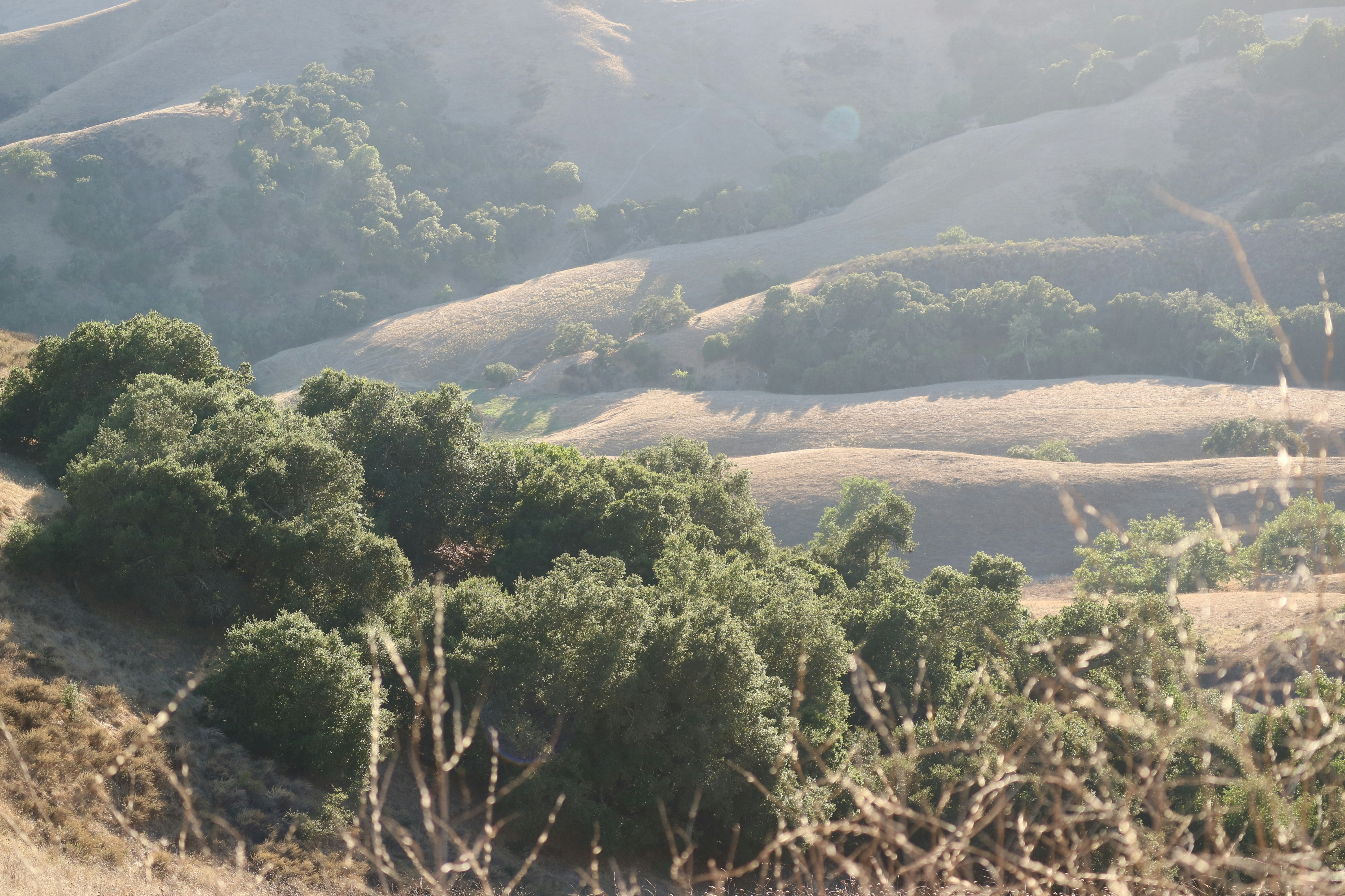 Photo by Vincent Yuan @USA with Canon EOS M3