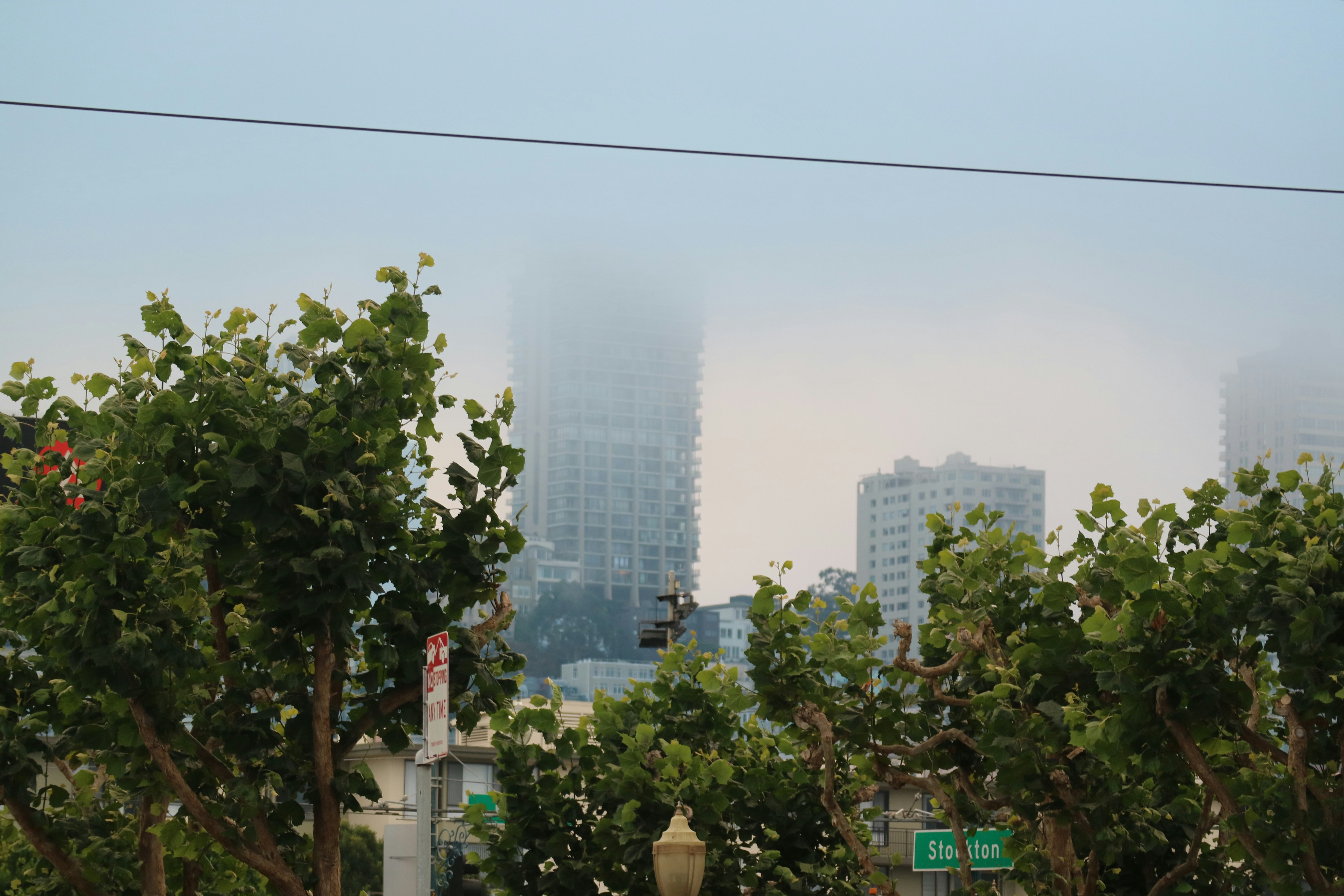 Urban Ridge in Morning Fog