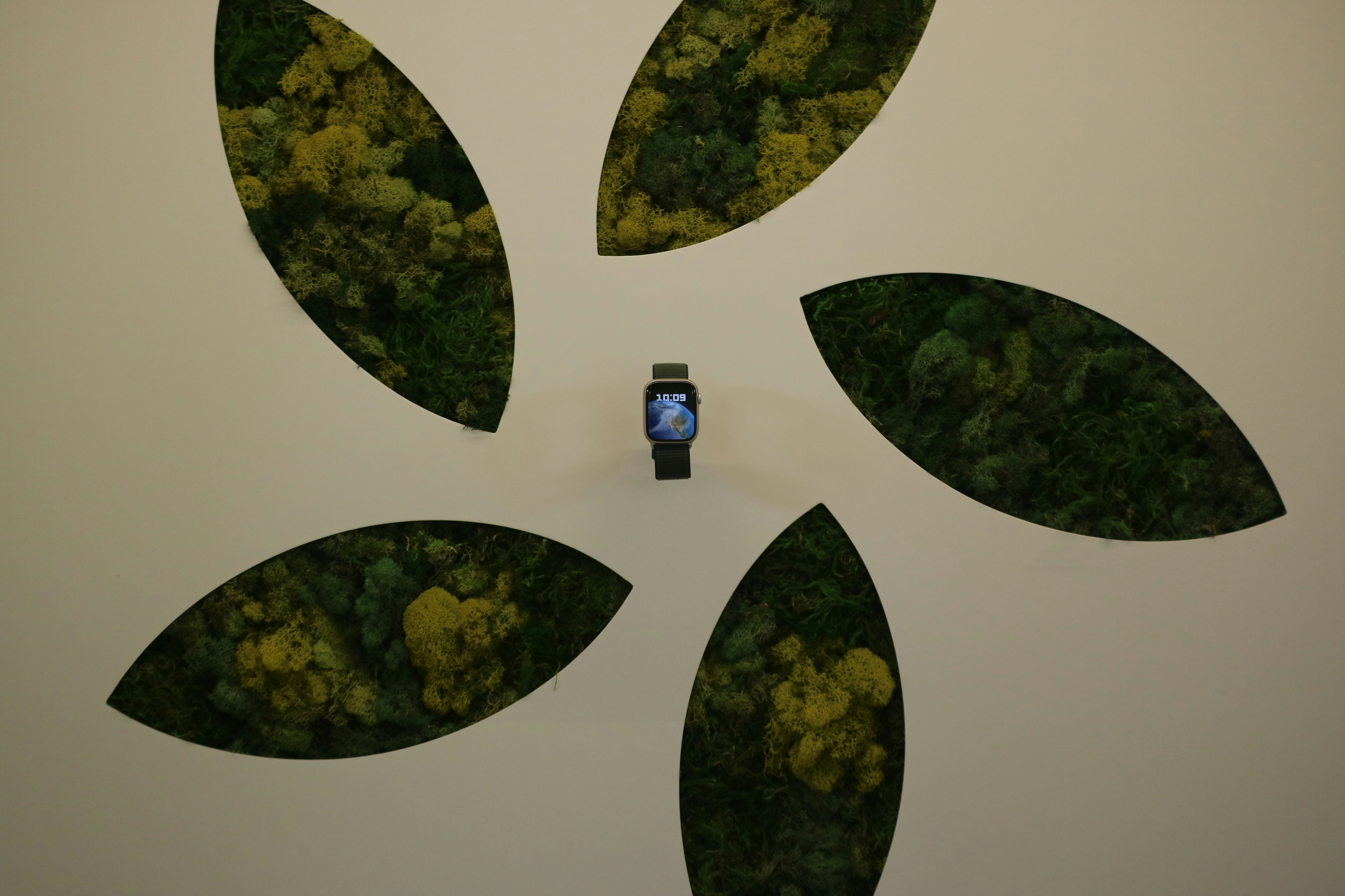 A smartwatch displayed against a wall with leaf-shaped green installations.