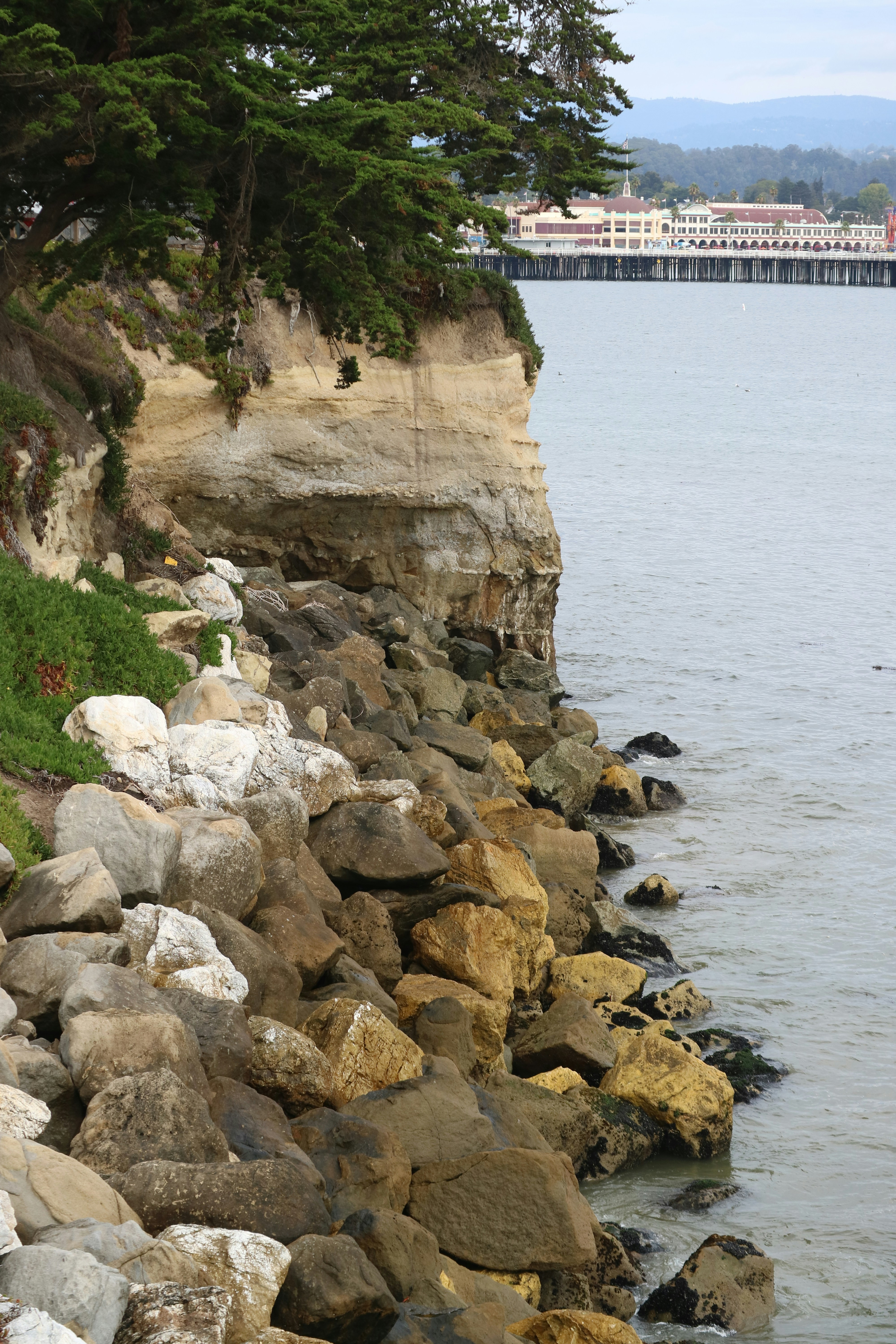 Photo by Vincent Yuan @USA with Canon EOS M3