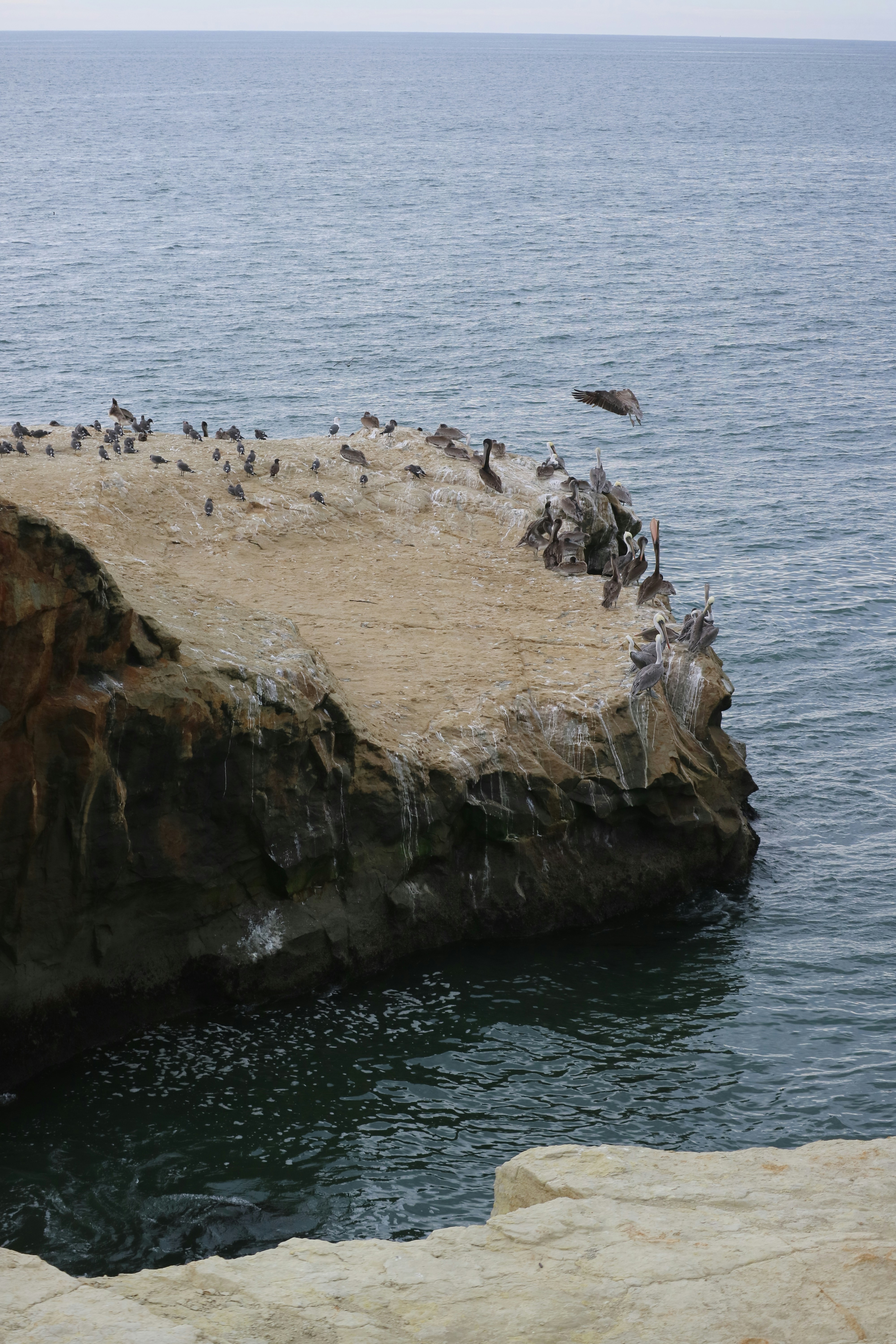 Photo by Vincent Yuan @USA with Canon EOS M3