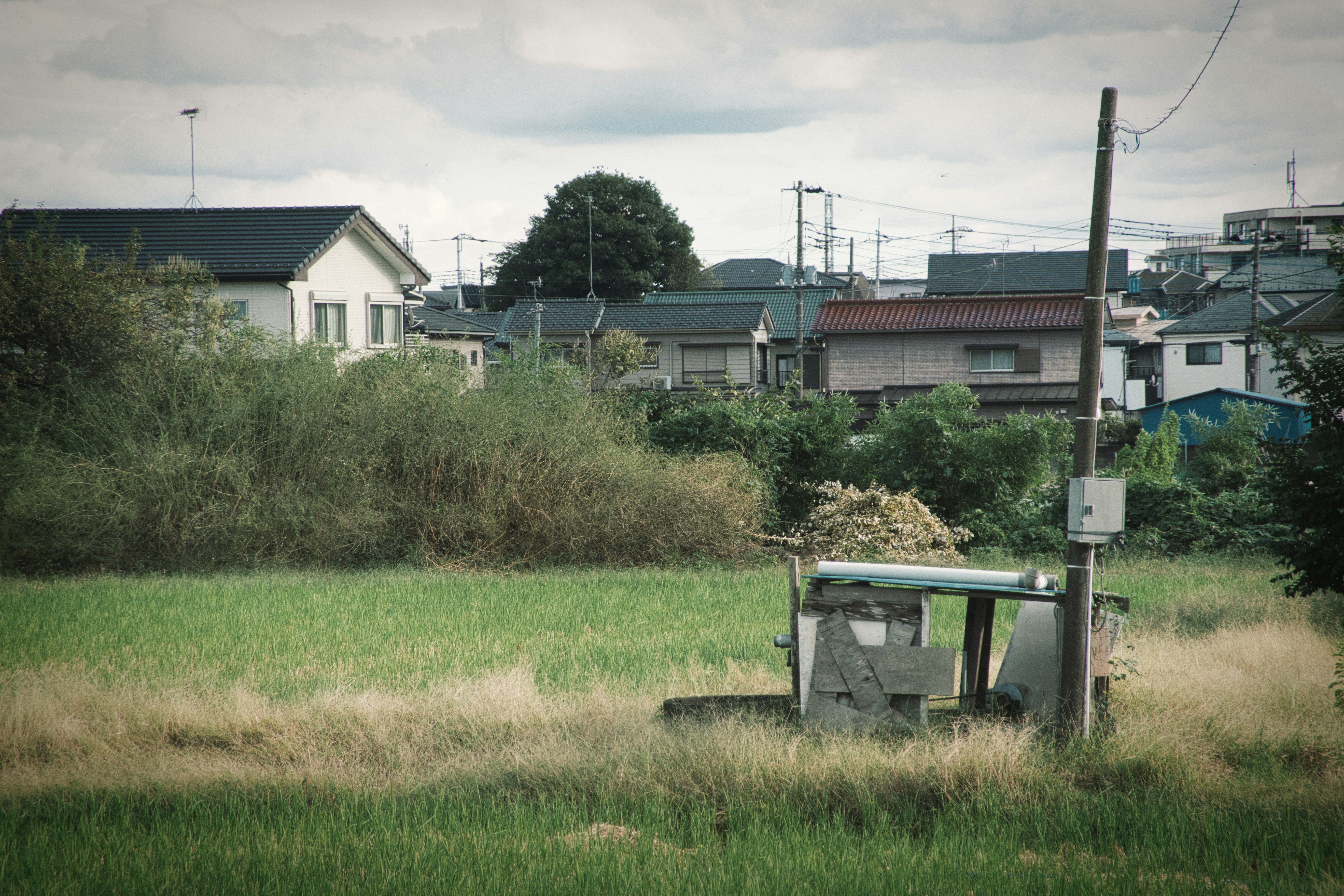 Rustic Serenity in Suburban Fields