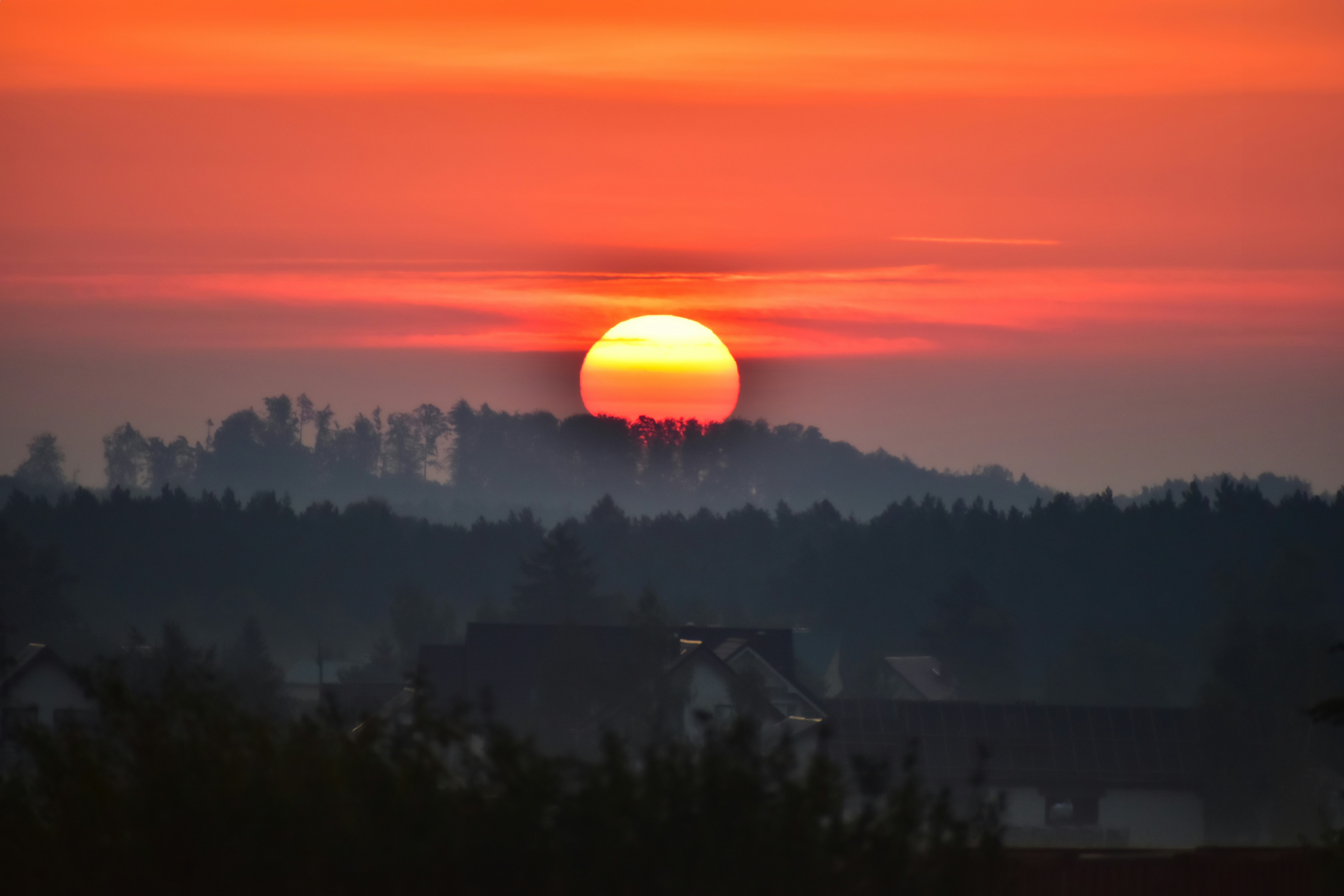 Photo by Jacek Pobłocki with Nikon D5600