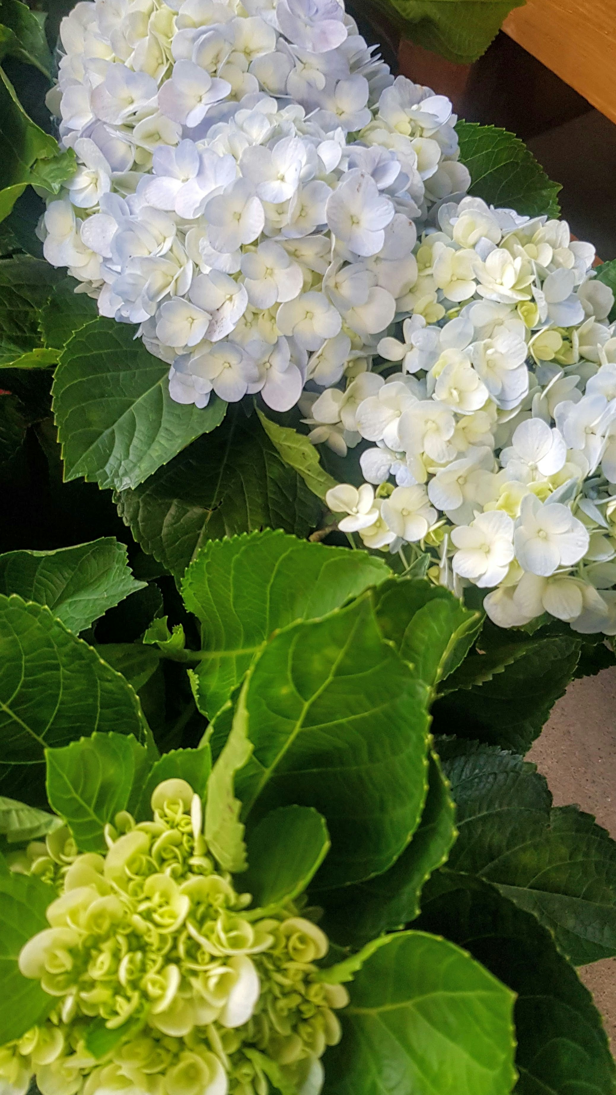 Kim Ramiscal (@kmshrn) | Unsplash Photo Community